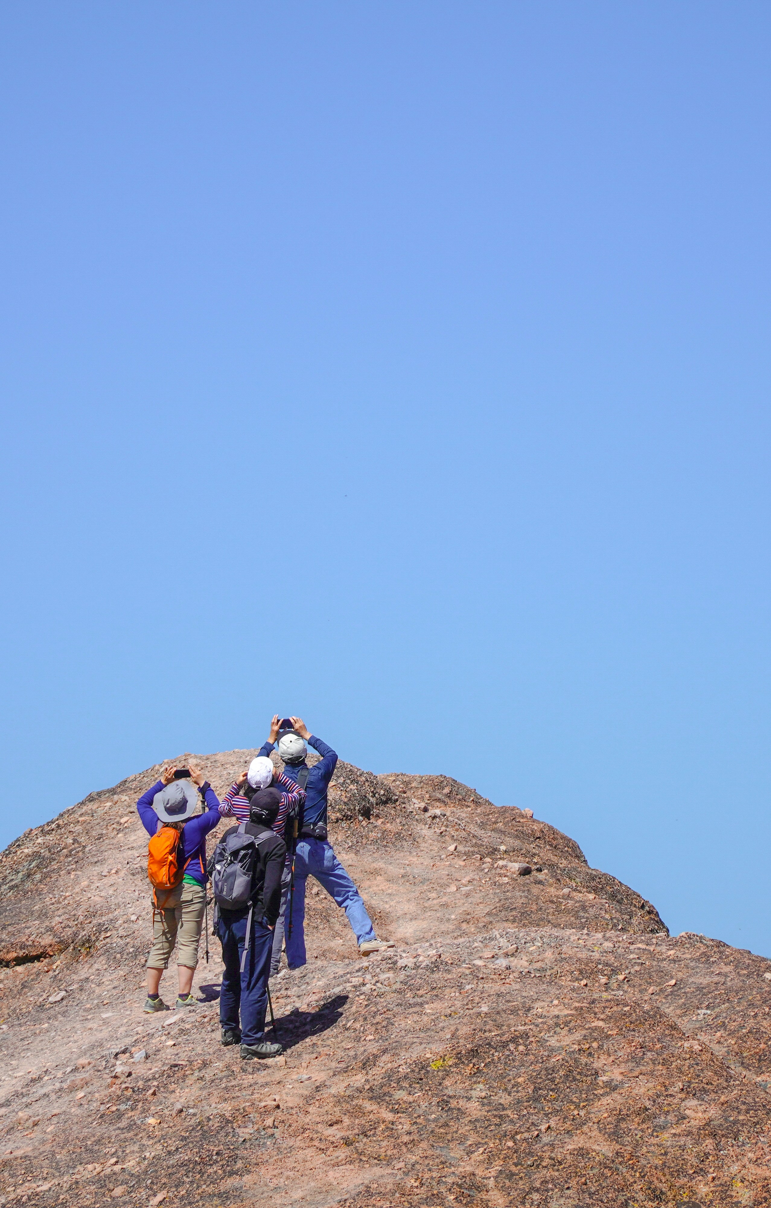 a group of people hiking