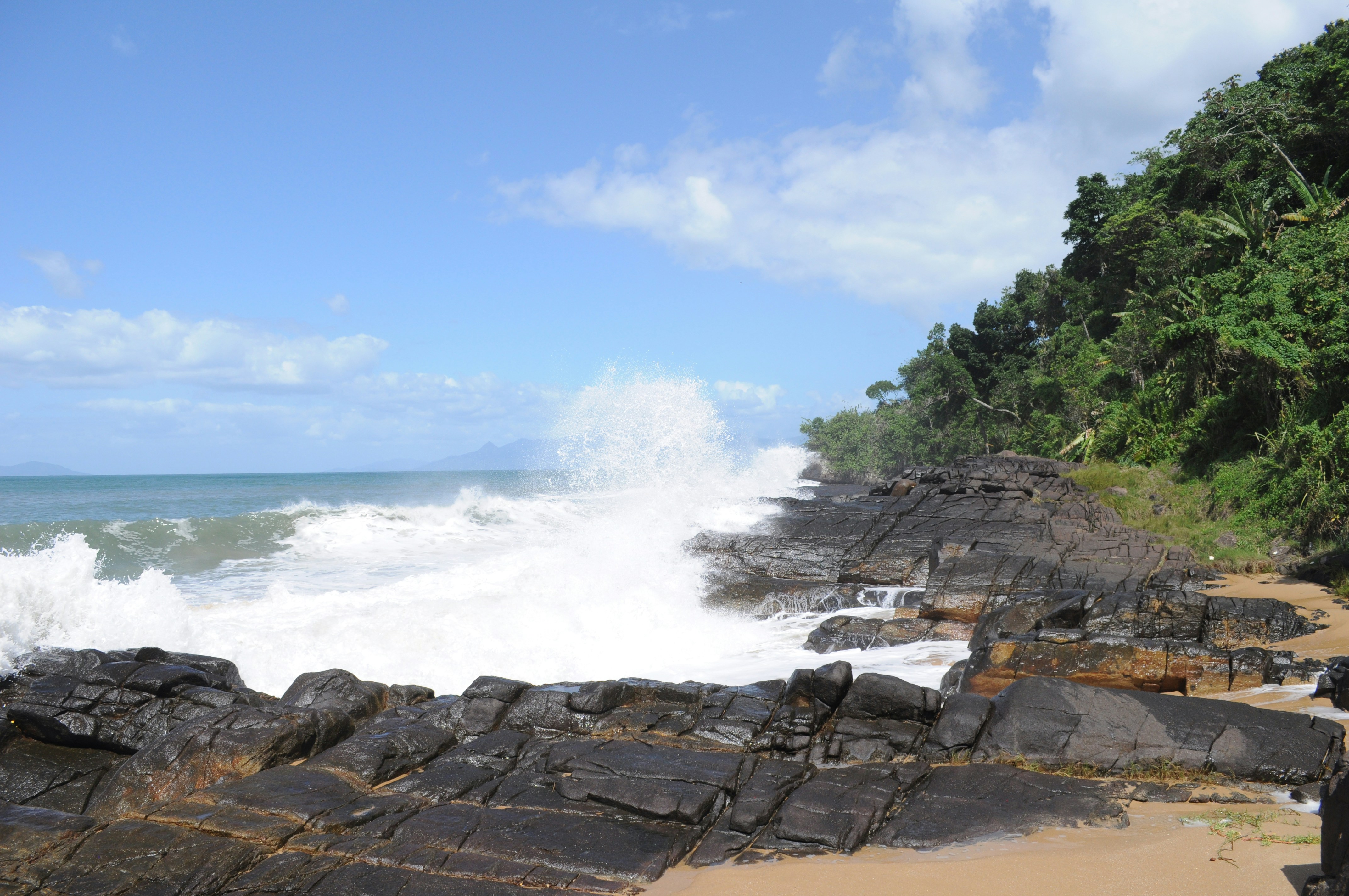 Mata Atlantica Pictures | Download Free Images on Unsplash