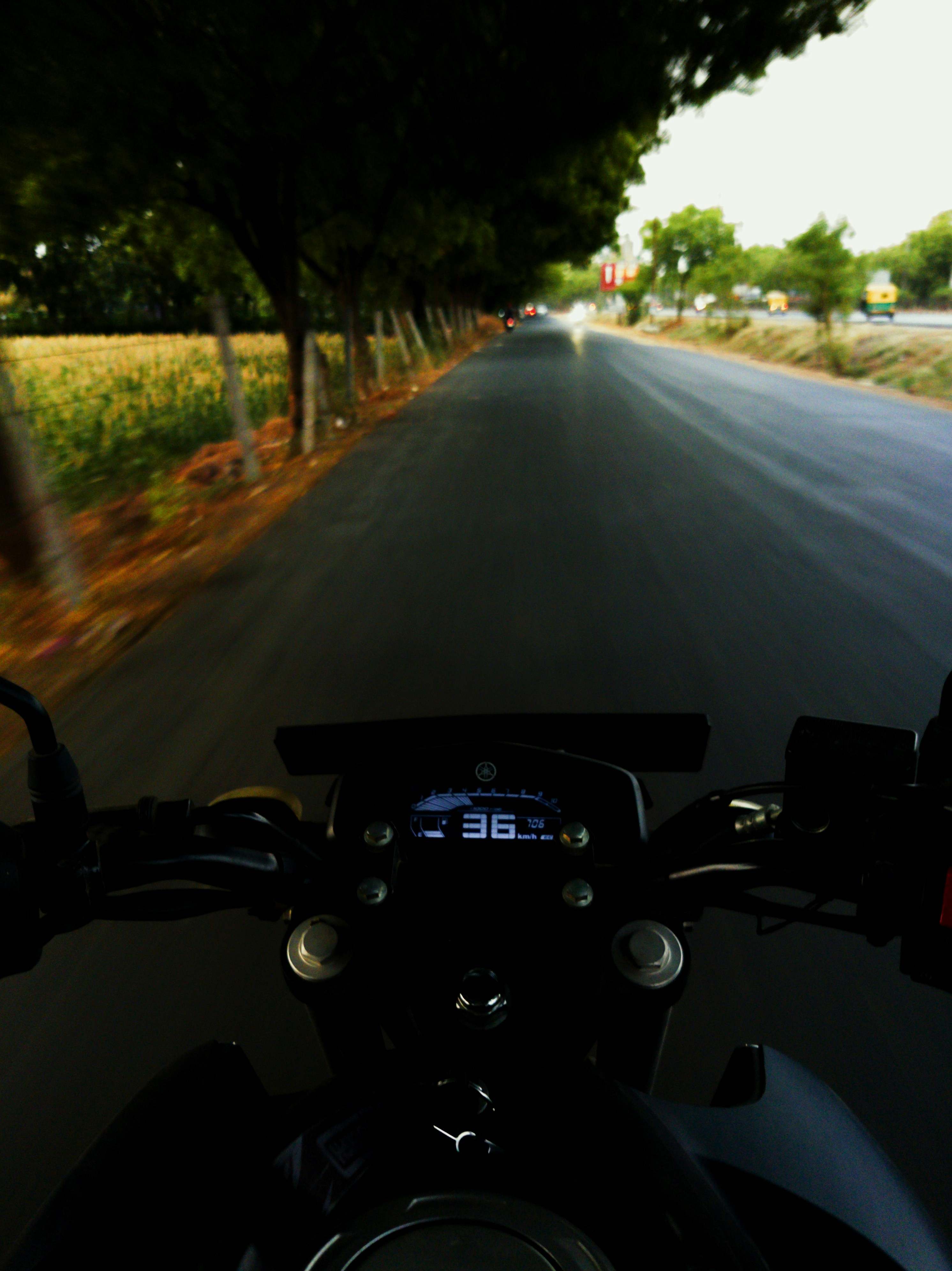 Motorcycle view along a tree-lined road, showcasing speed with a speedometer reading 36. The scene captures the essence of freedom on an open road.