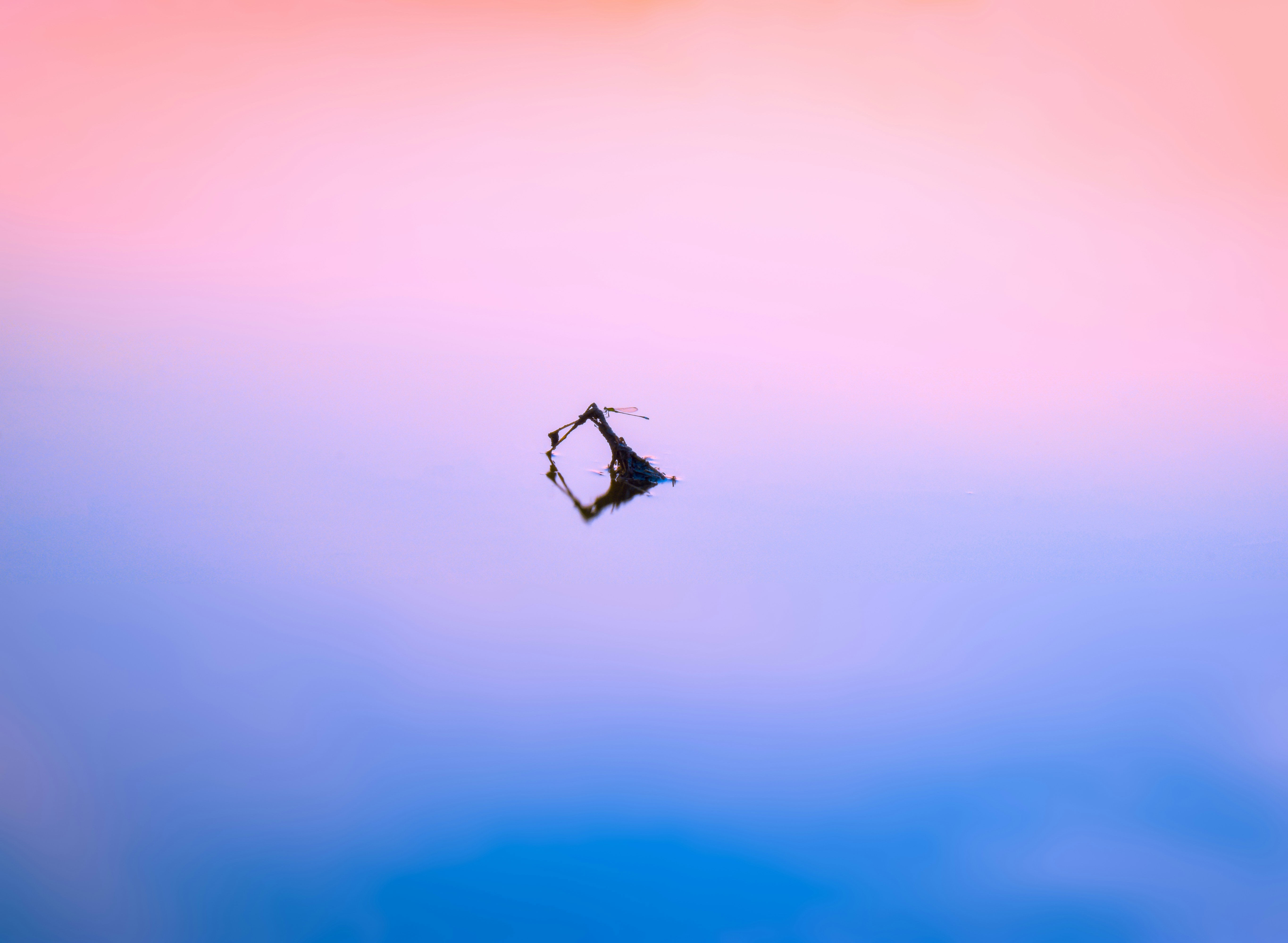 Reflections of Serenity: Nature's Minimalist Canvas