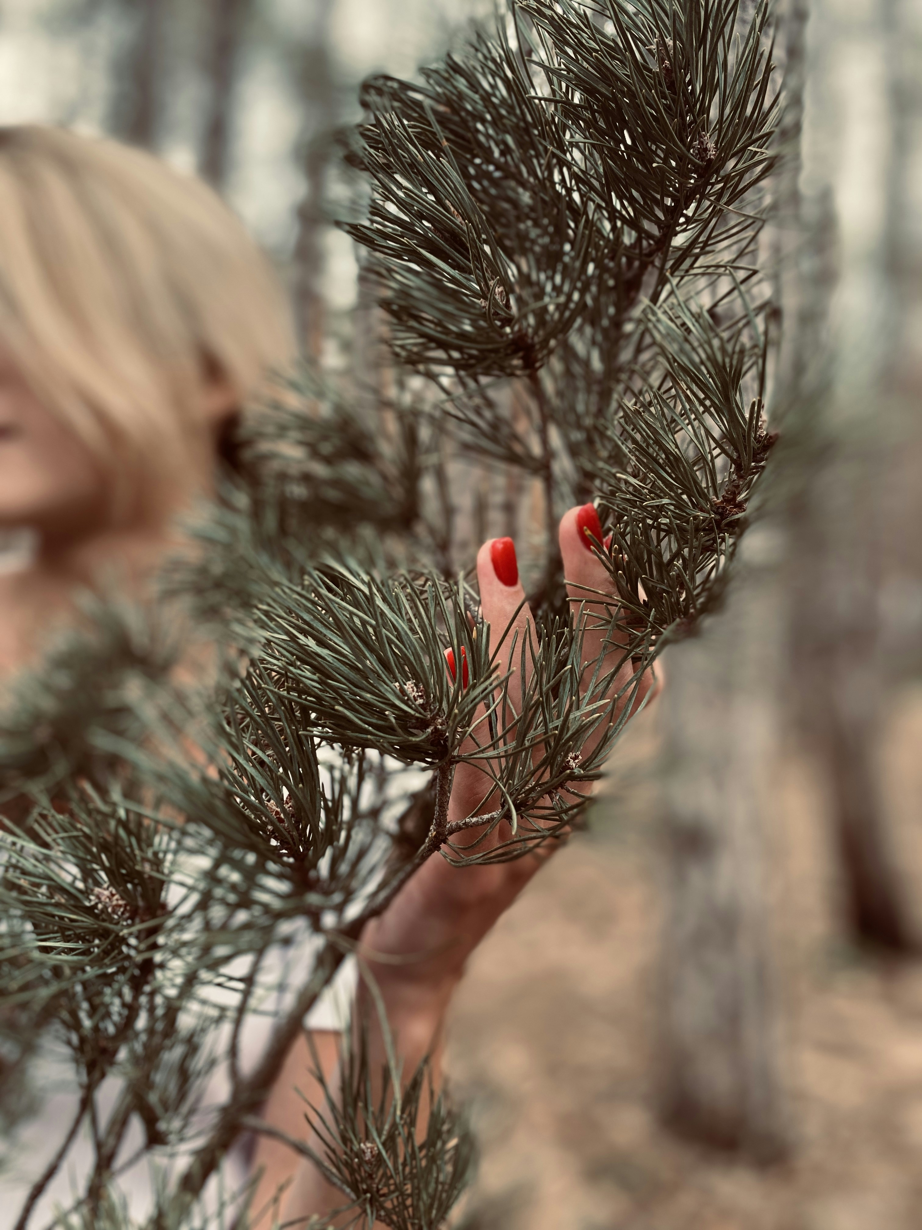 Red-tinged nails meet pine needles: a close forest encounter