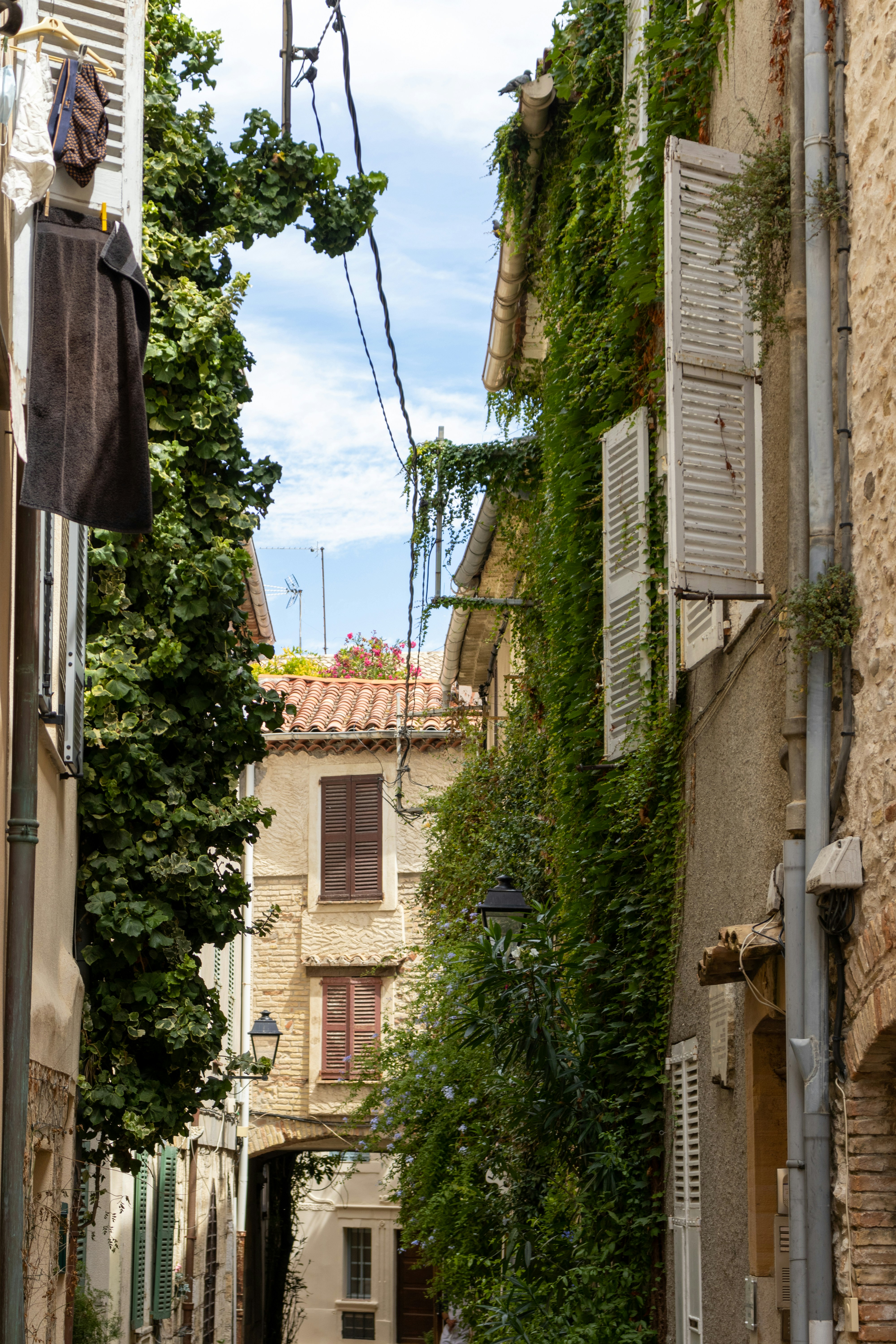 A row of buildings with trees photo – Free Antibes Image on Unsplash