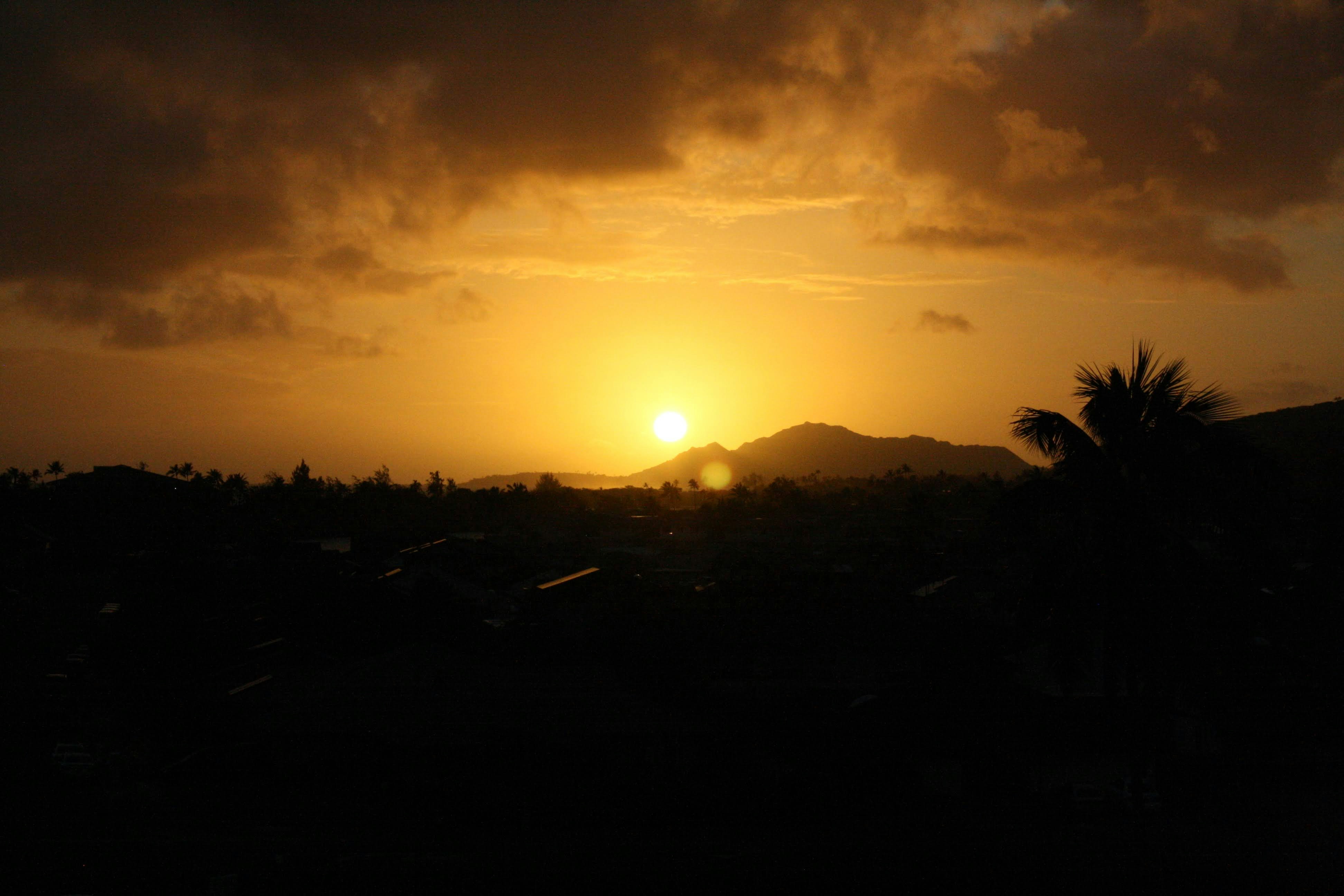 A sunset over a forest photo – Free Sunset Image on Unsplash