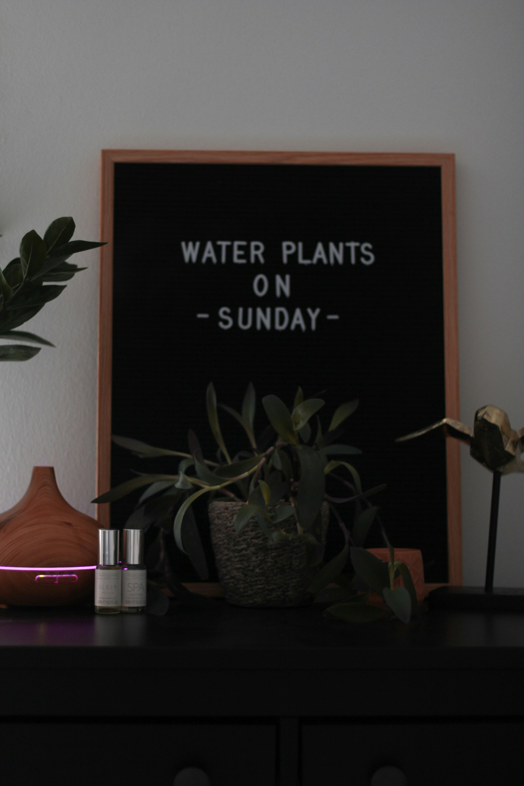 a blackboard with a plant and a basket on it