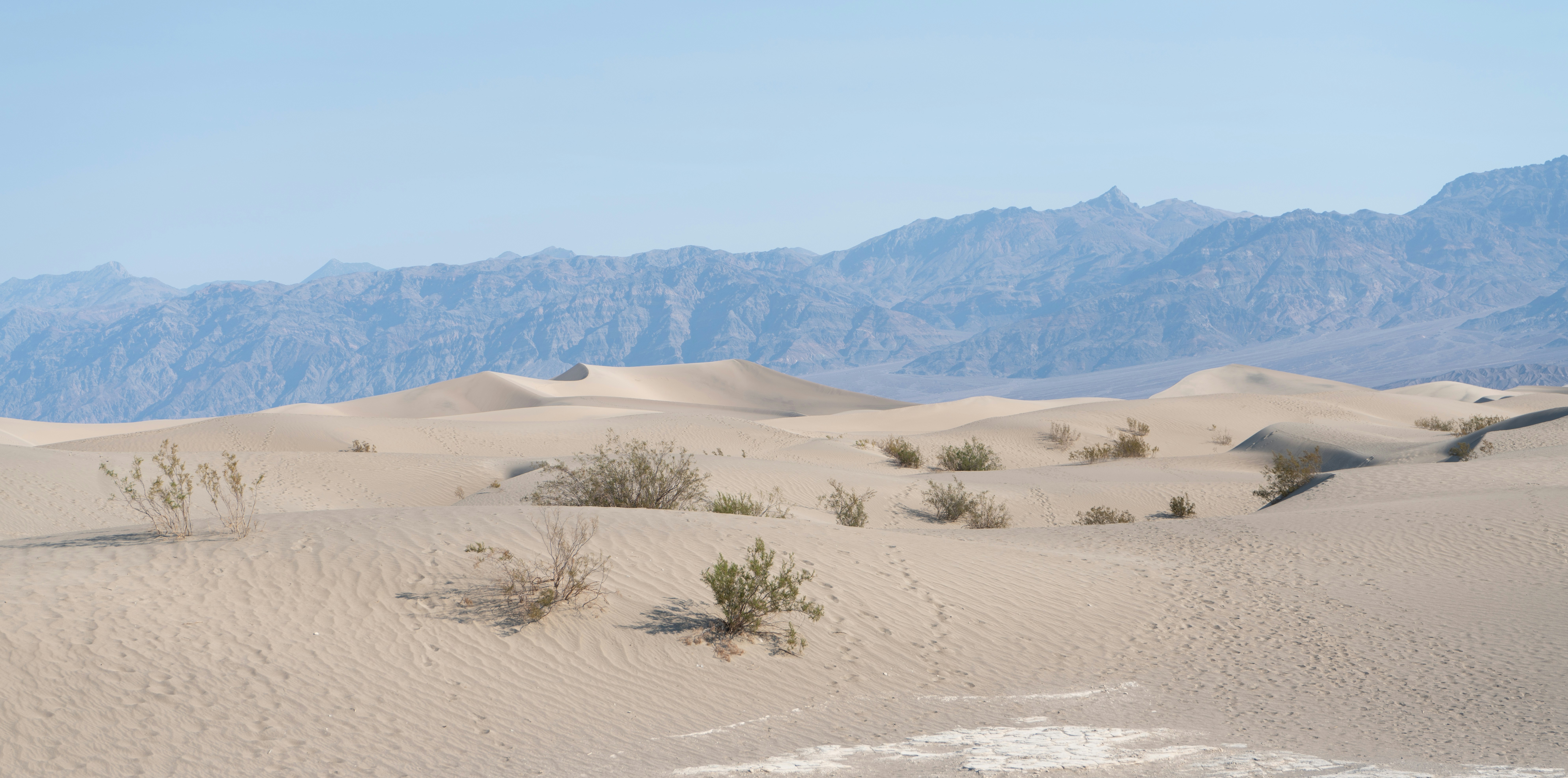 Un paysage désertique avec des montagnes en arrière-plan photo – Photo ...