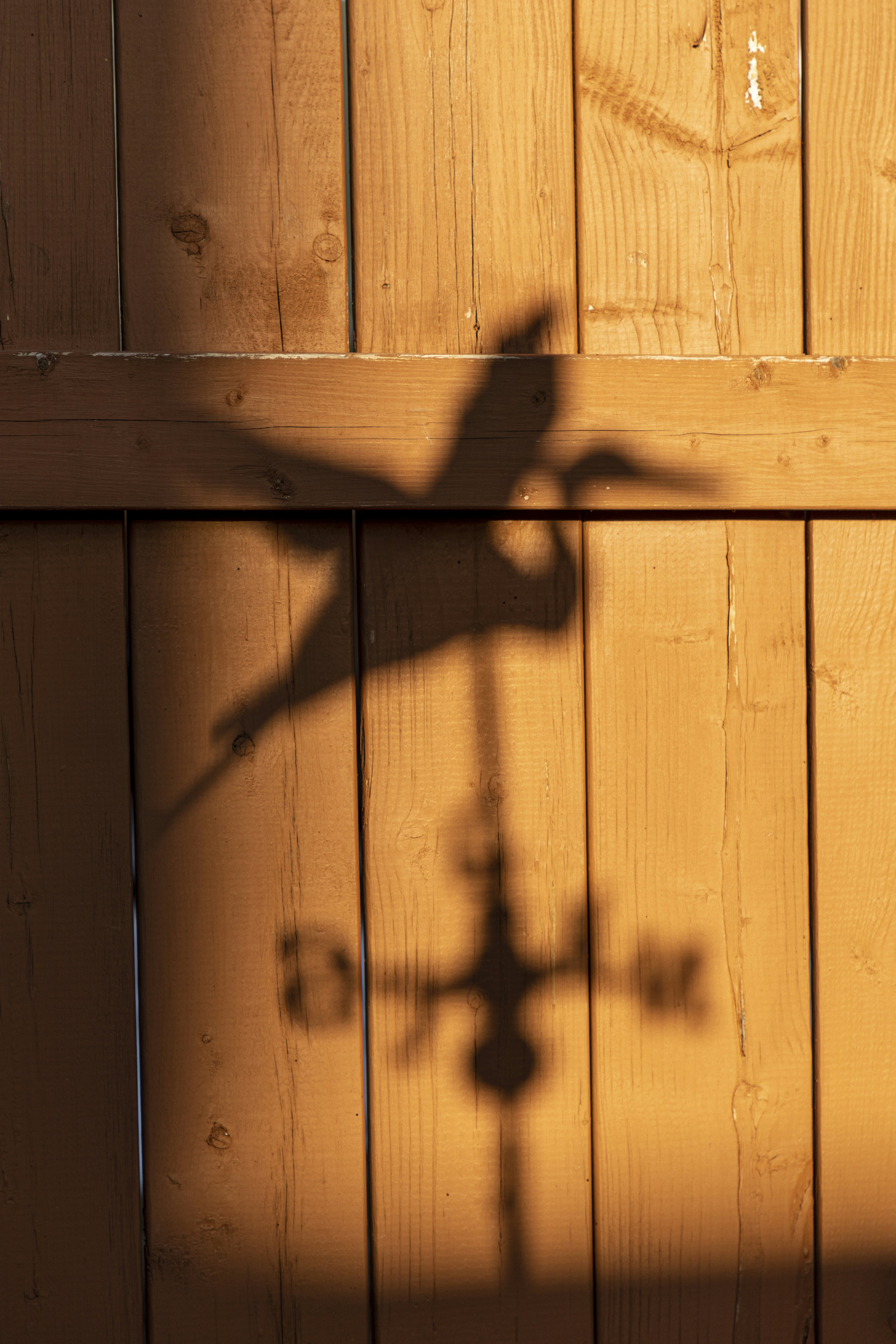 Shadow Stage: Sunlight Traces a Microphone Stand on Weathered Wood