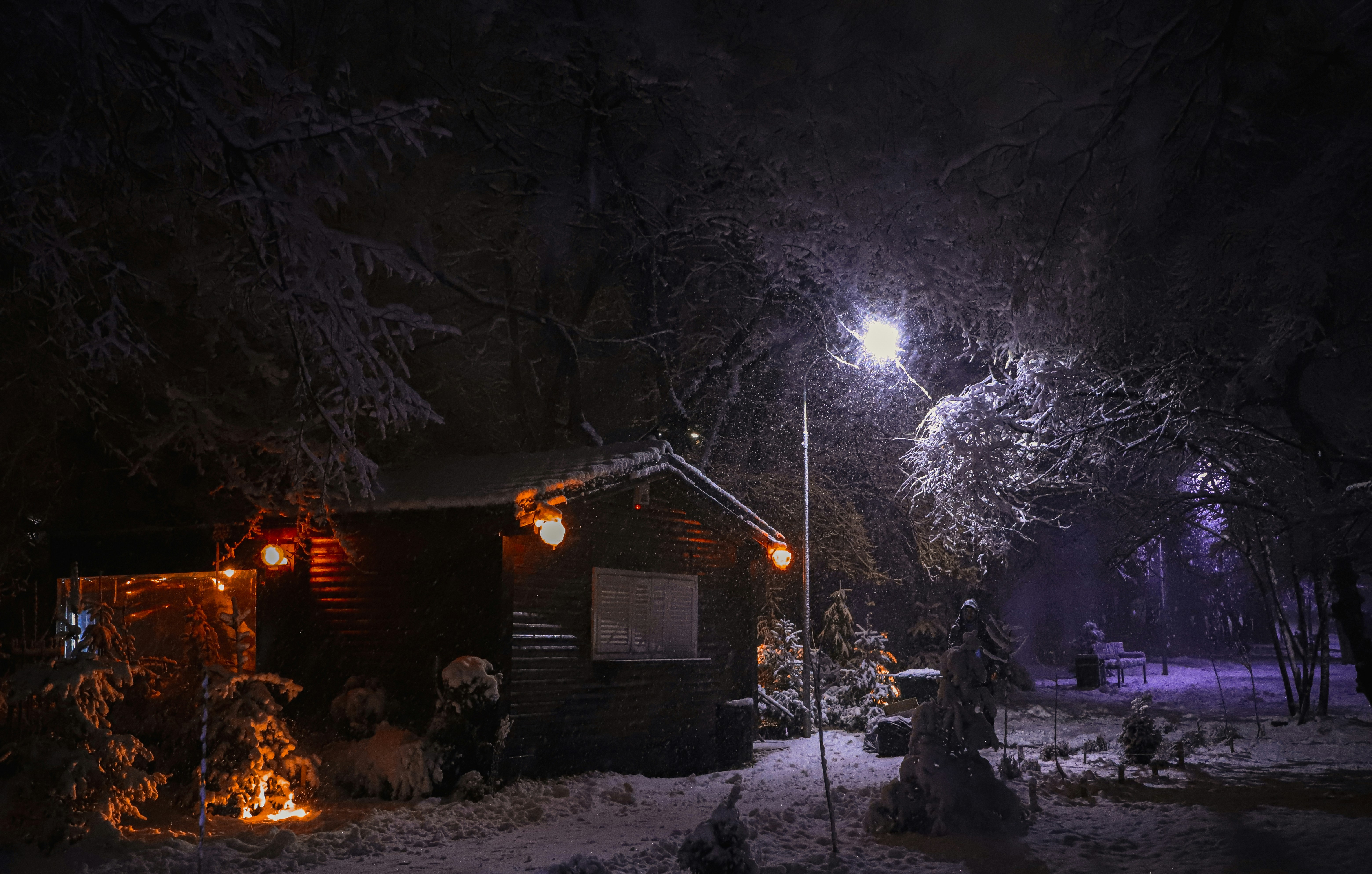 Cozy cabin illuminated by warm lights amidst a snowy landscape, with trees draped in frost. A streetlamp casts a gentle glow in the tranquil night.