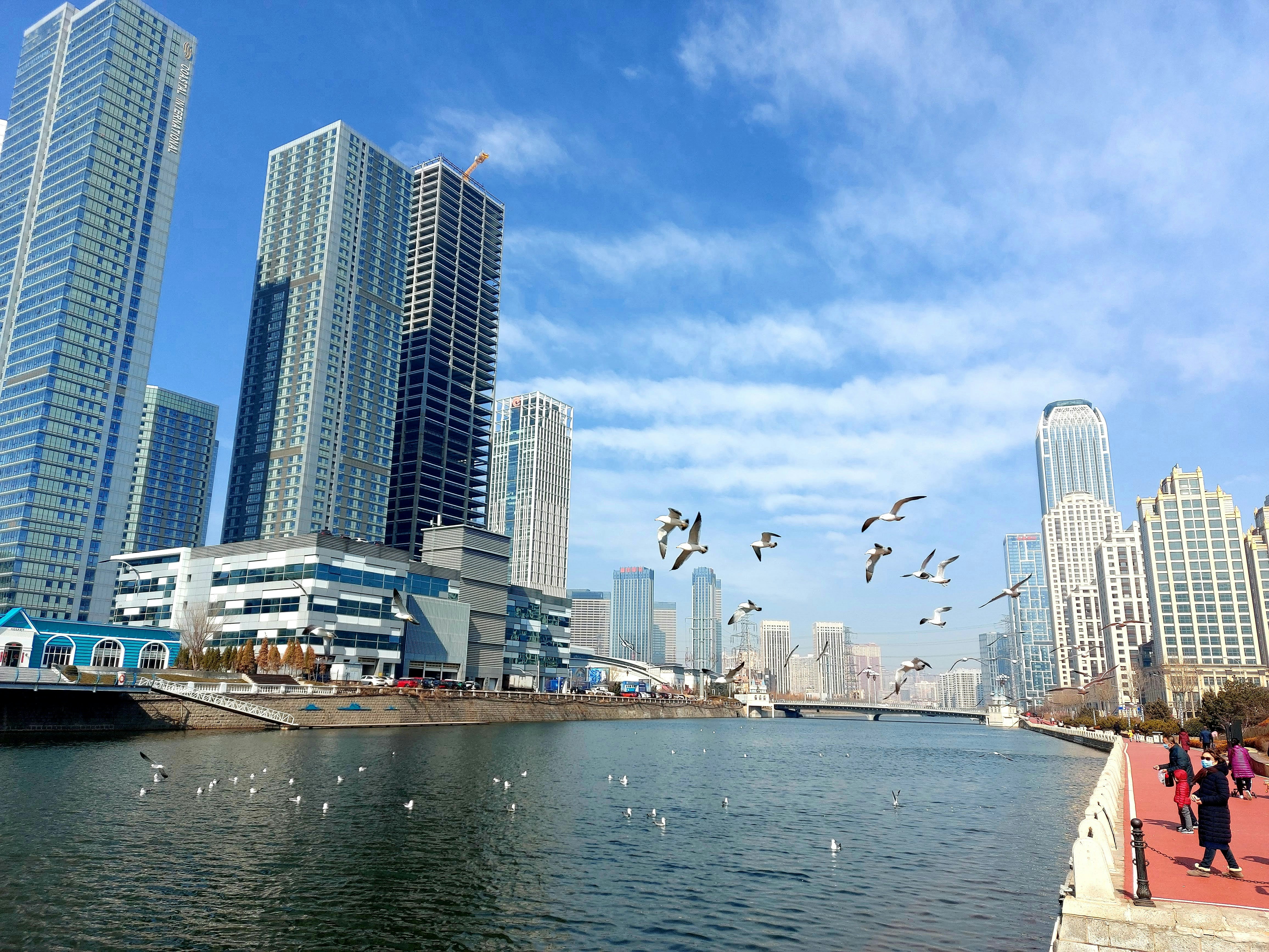 Seagulls soar above a river flanked by modern skyscrapers under a bright blue sky.