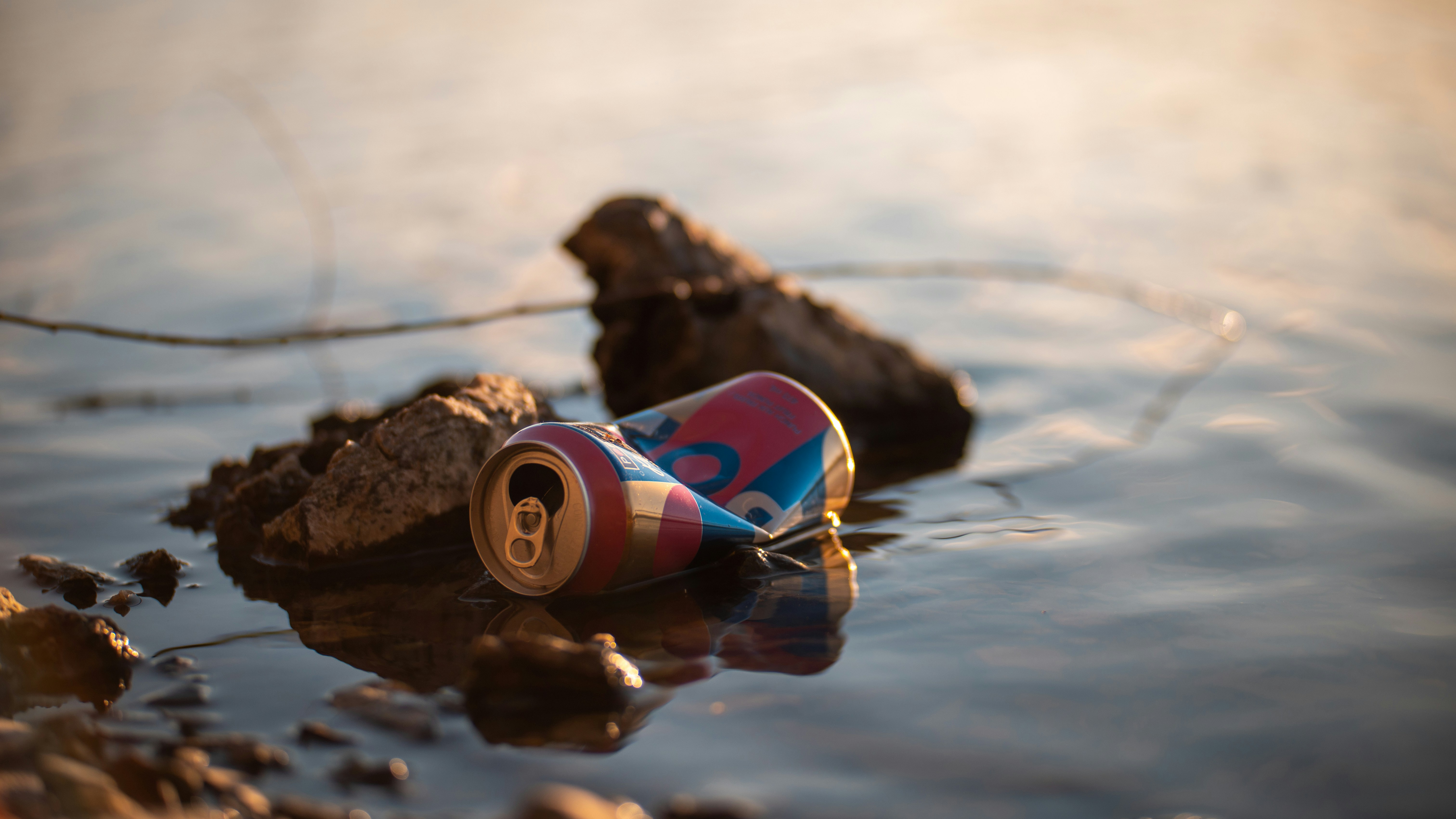 Low Tide, Neon Can: A Quiet Sunset Still Life