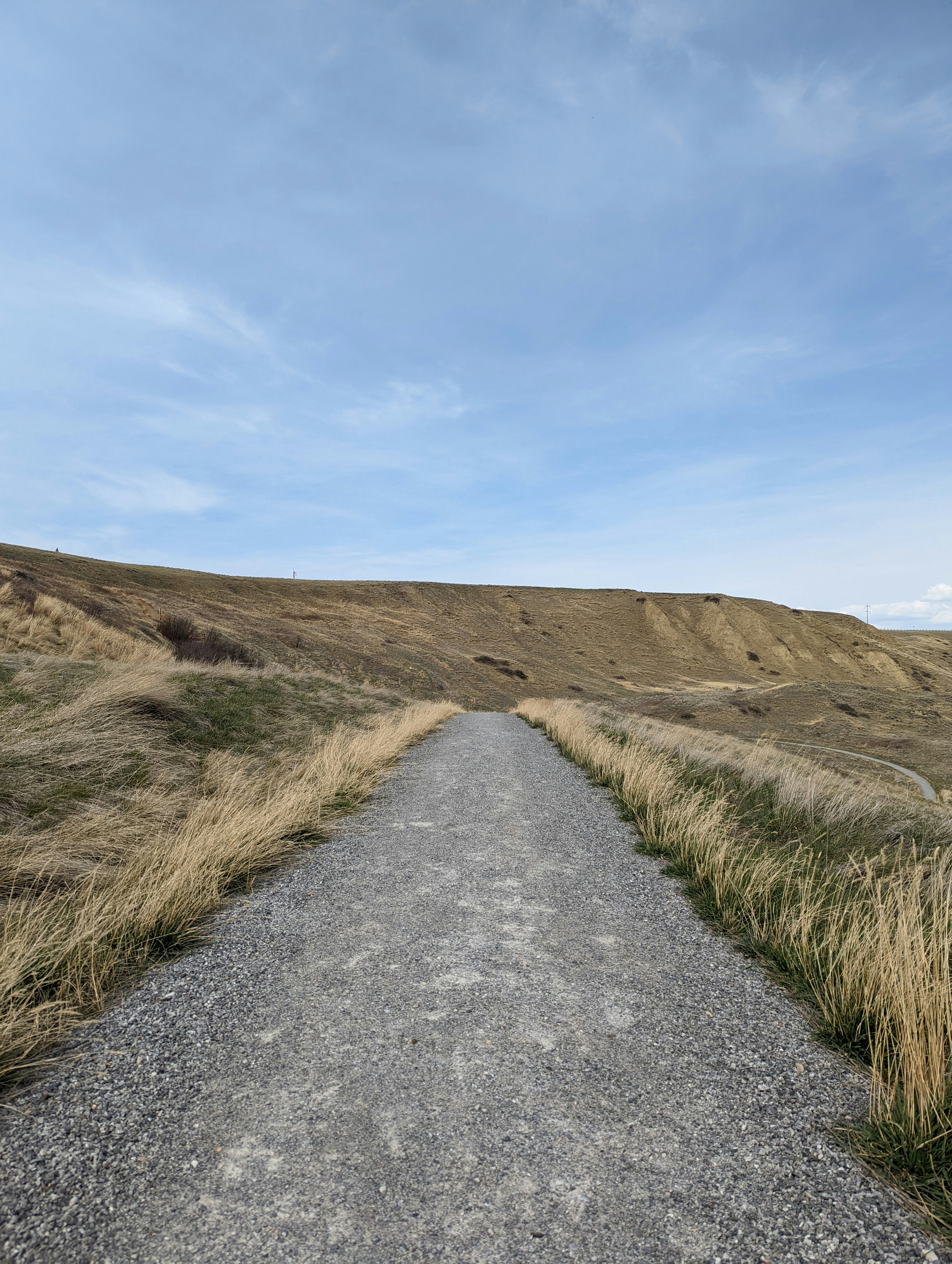 Un chemin de terre dans une zone herbeuse photo – Image gratuite de ...