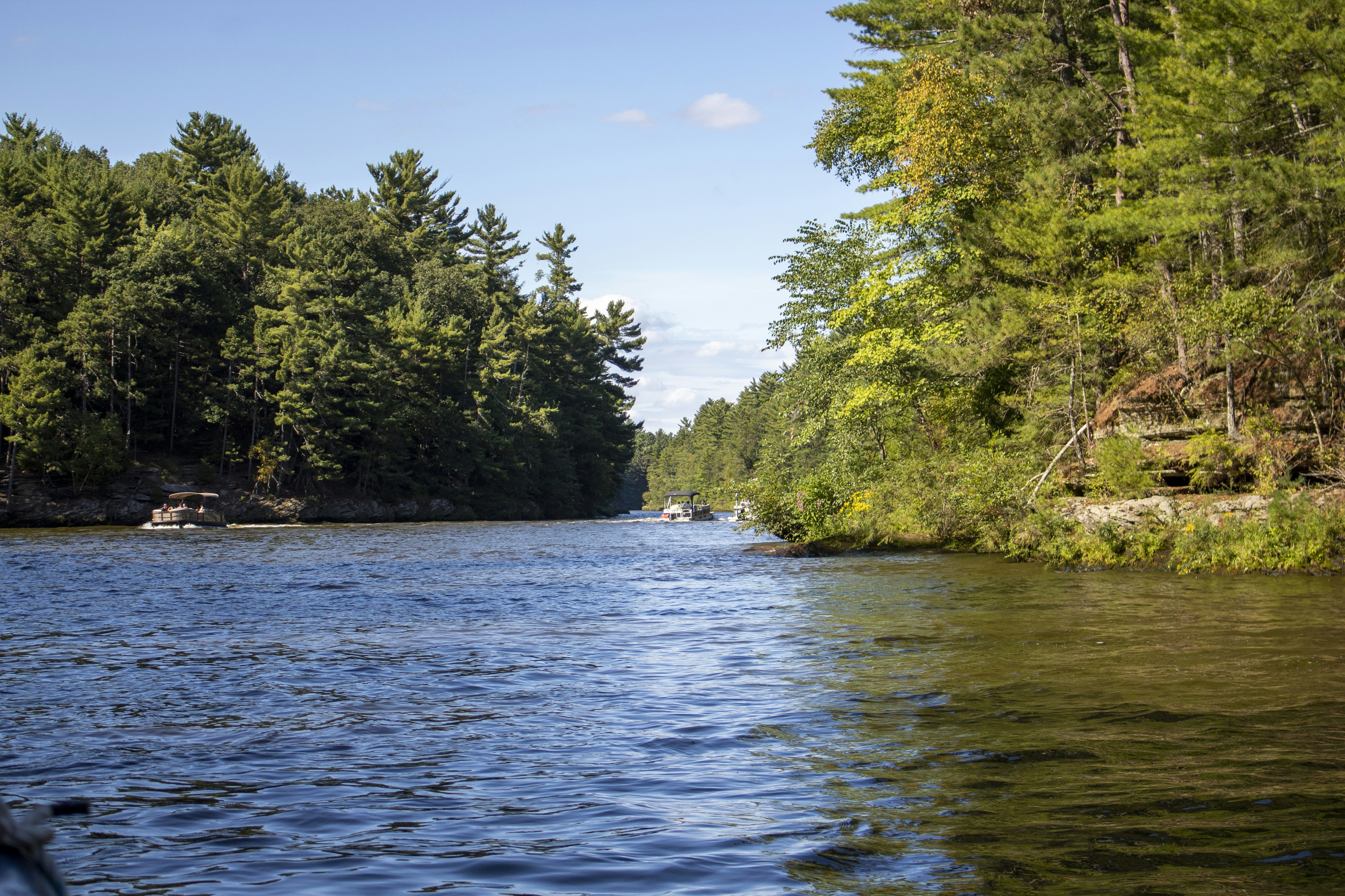 A river with trees on the side photo – Free Usa Image on Unsplash