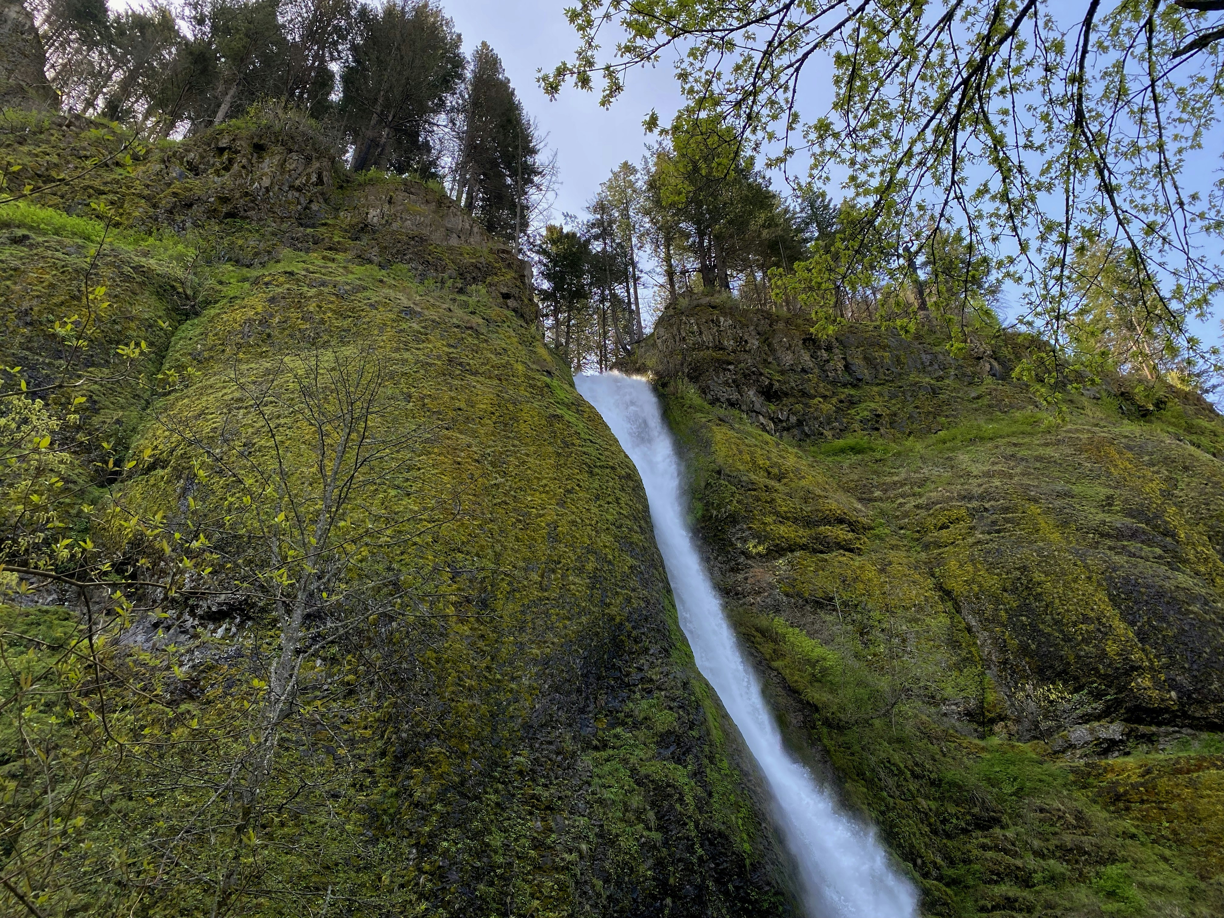 Moss-Clad Cascade Between Forested Cliffs