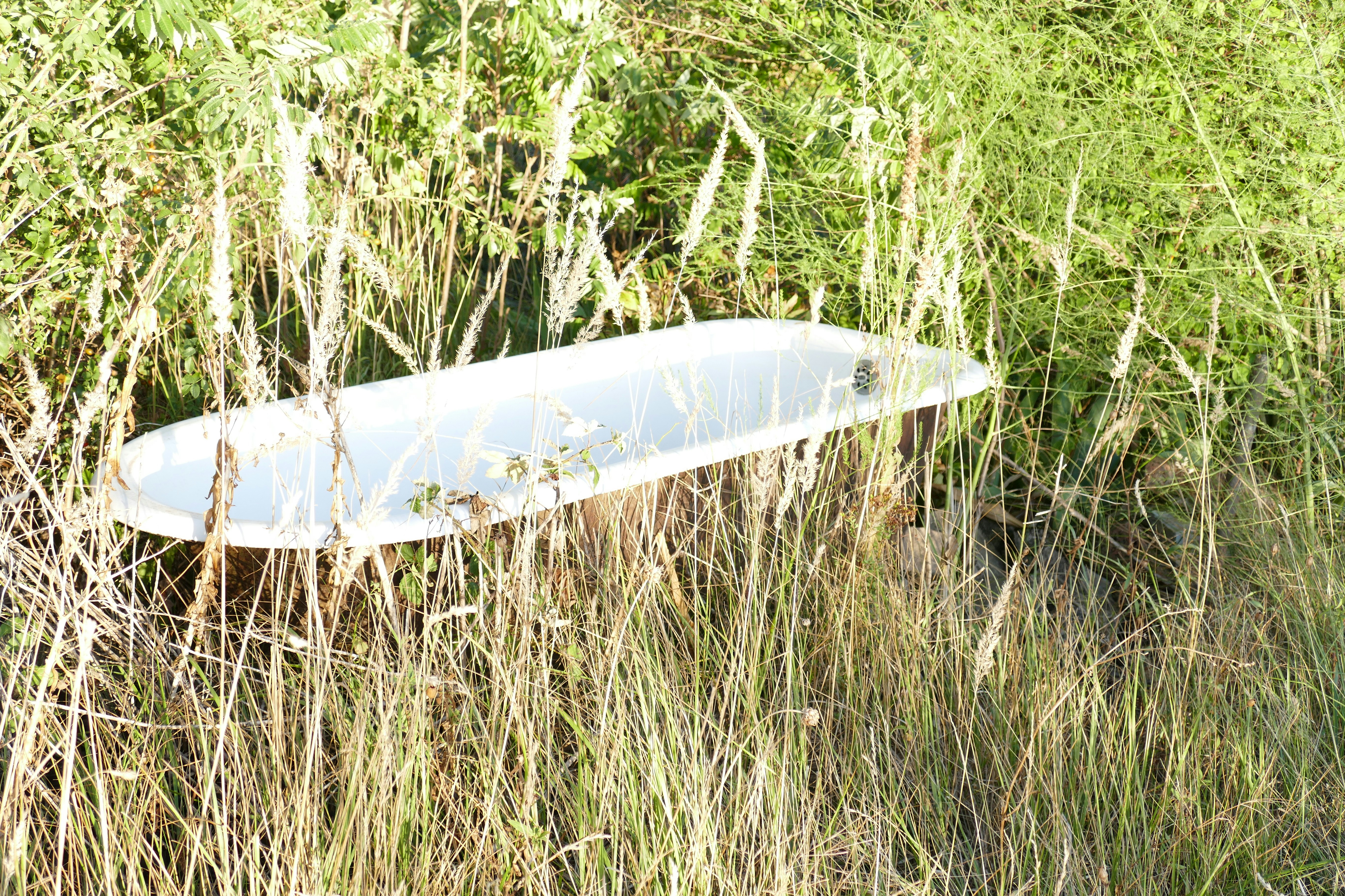 Bathtub in nature