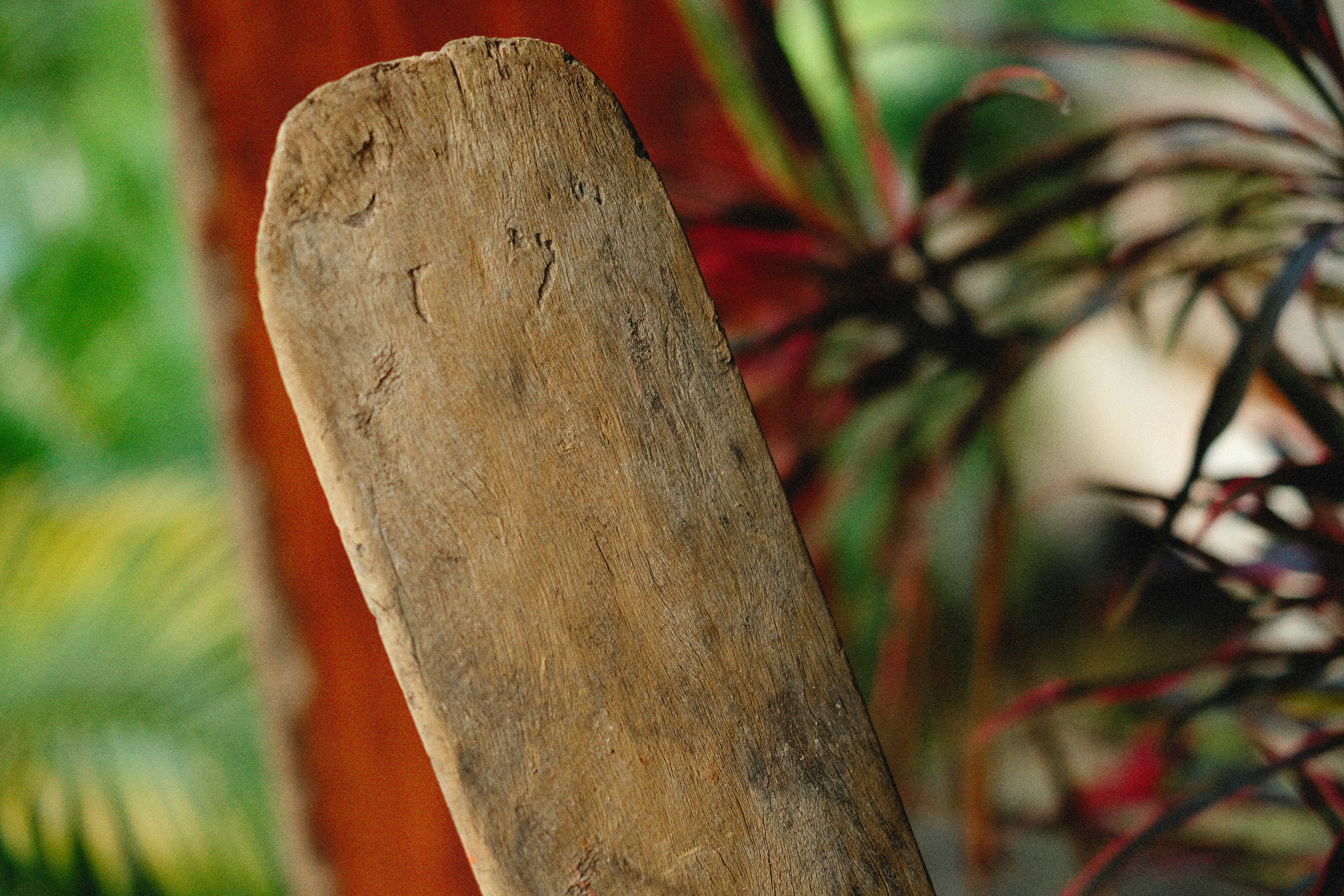 Weathered Sentry: A Wooden Post Framed by Tropical Foliage
