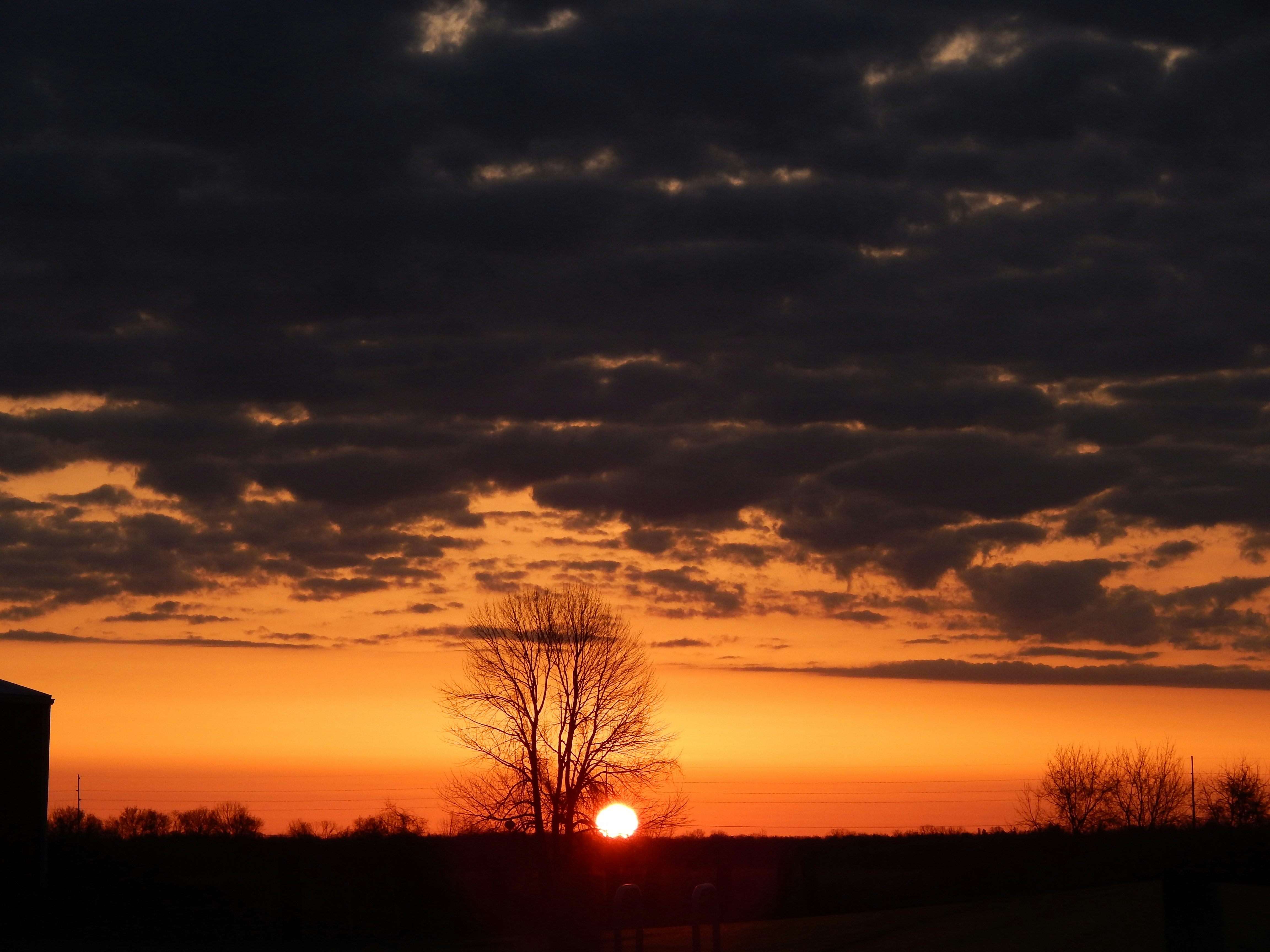 Silhouette of a solitary tree against a vibrant sunset, with the sun partially hidden behind the horizon. The clouds create a dramatic backdrop.