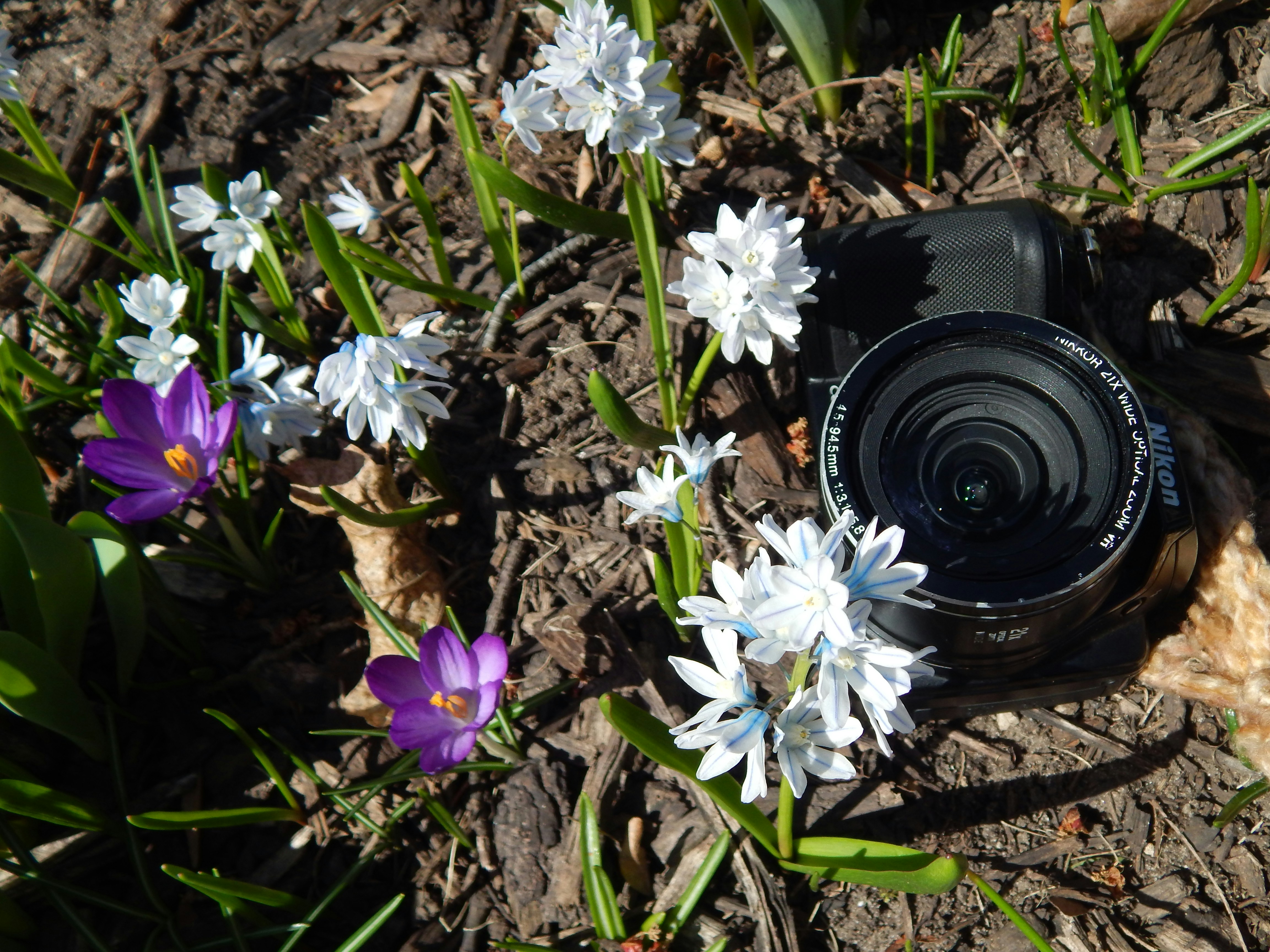a camera on the ground