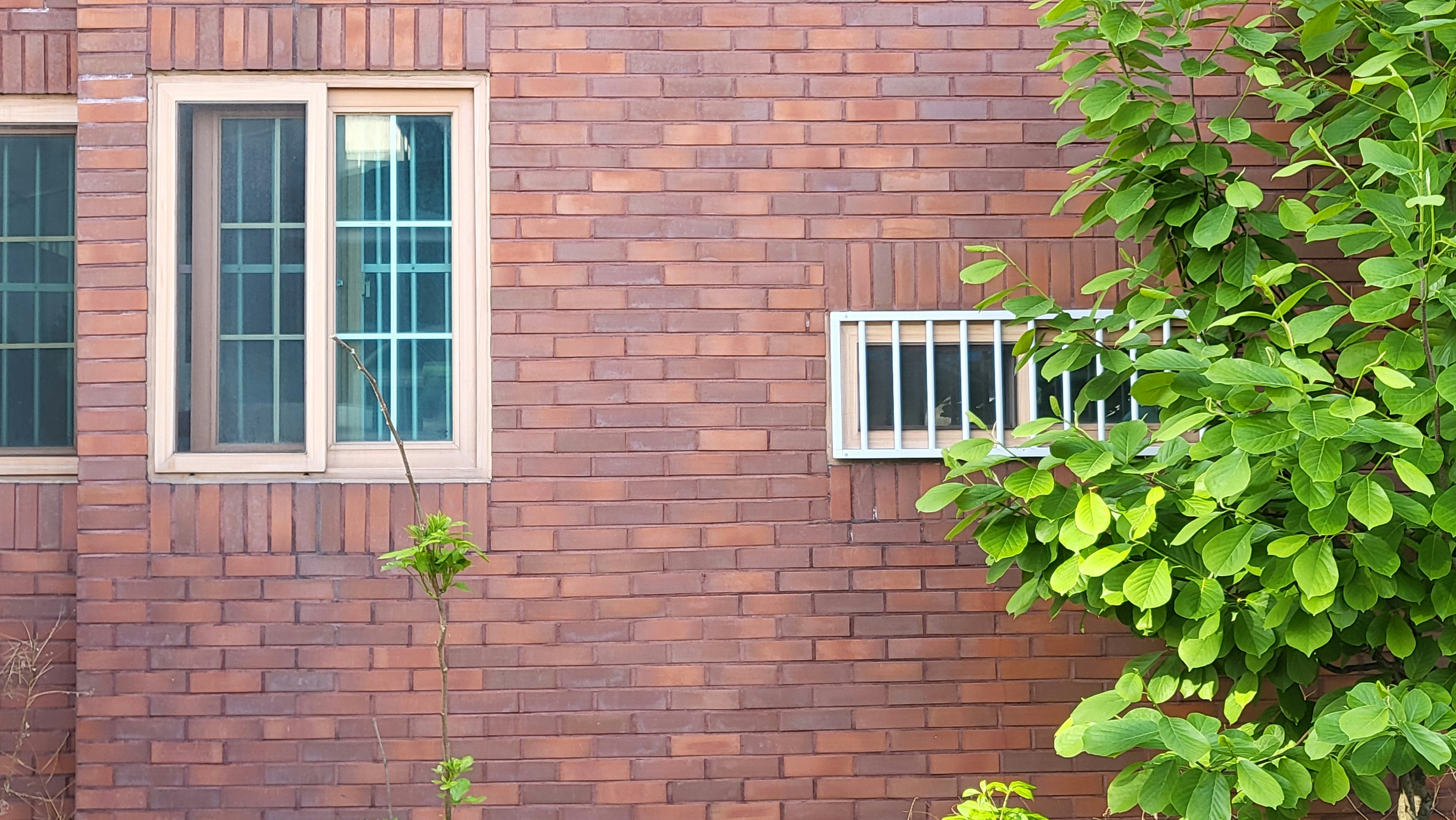 Brick Facade Rhythm: Framed Windows Meet a Slice of Greenery