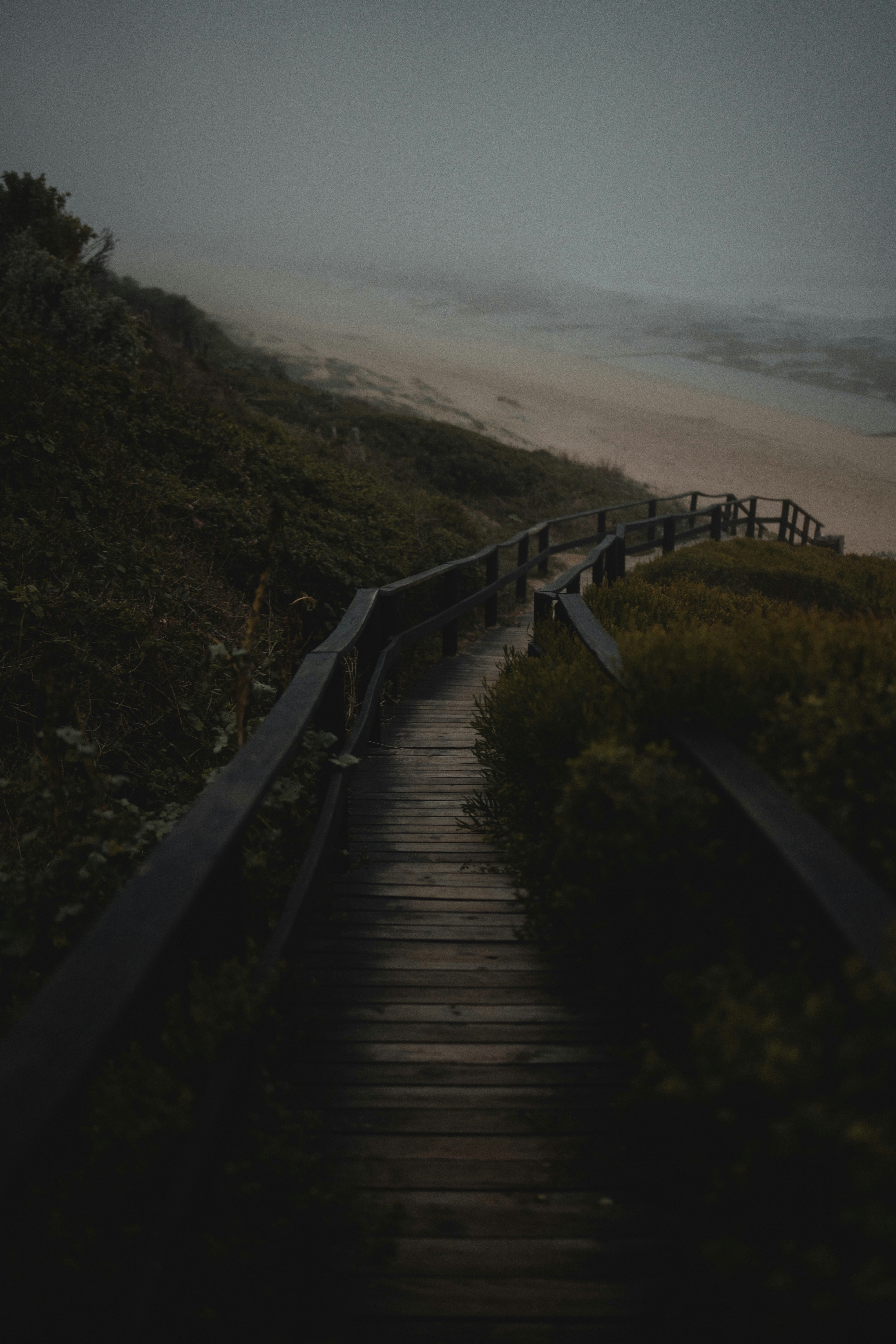 Whispering Boardwalk to the Misty Shore