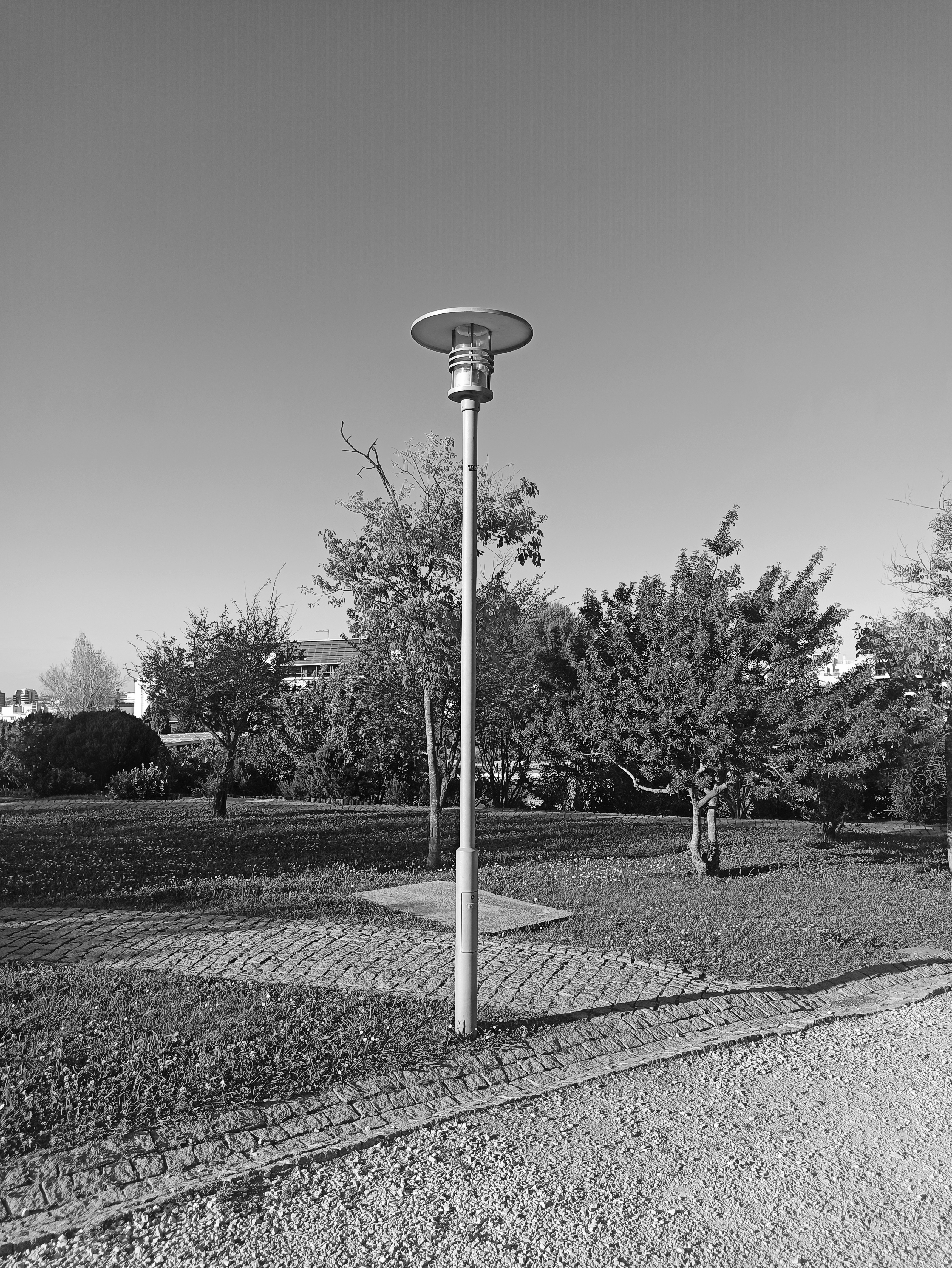 A sleek street lamp stands amidst lush greenery, casting a serene presence in a tranquil park setting.