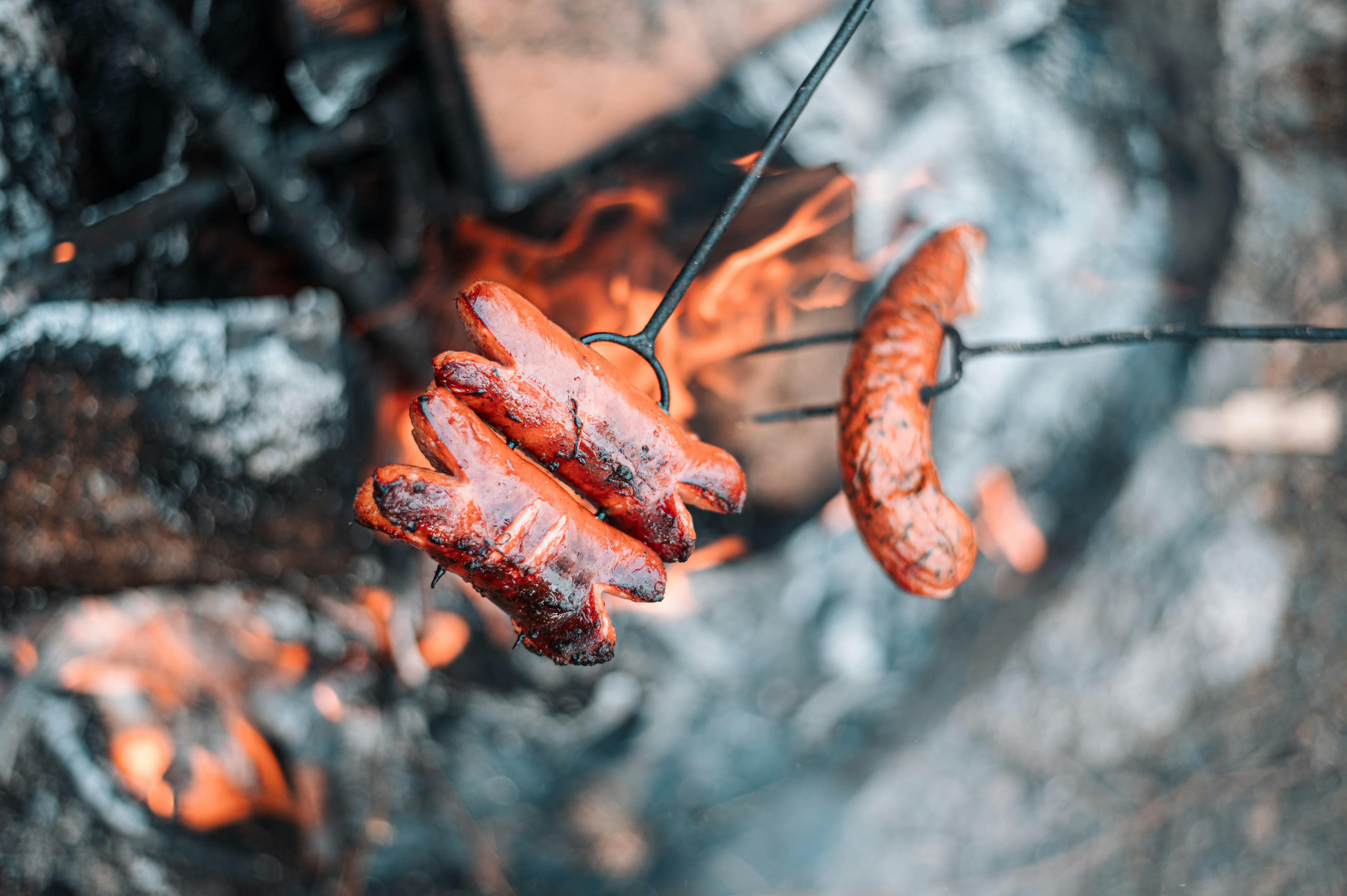 Un groupe de punaises rouges sur une souche d’arbre photo – Photo ...