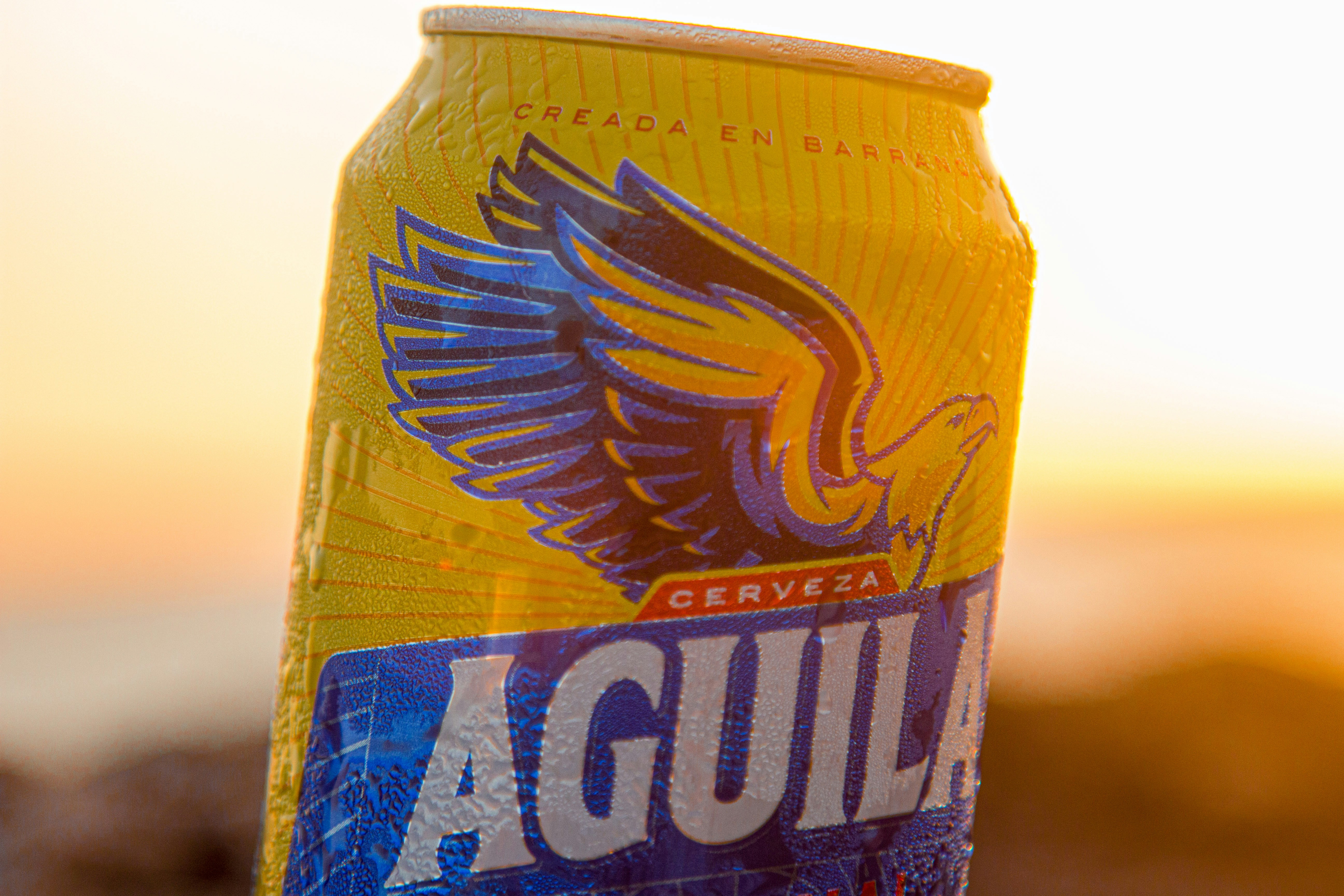 Sunset Sipper: A Closer Look at a Vibrant Agulha Can Rising from the Dusk