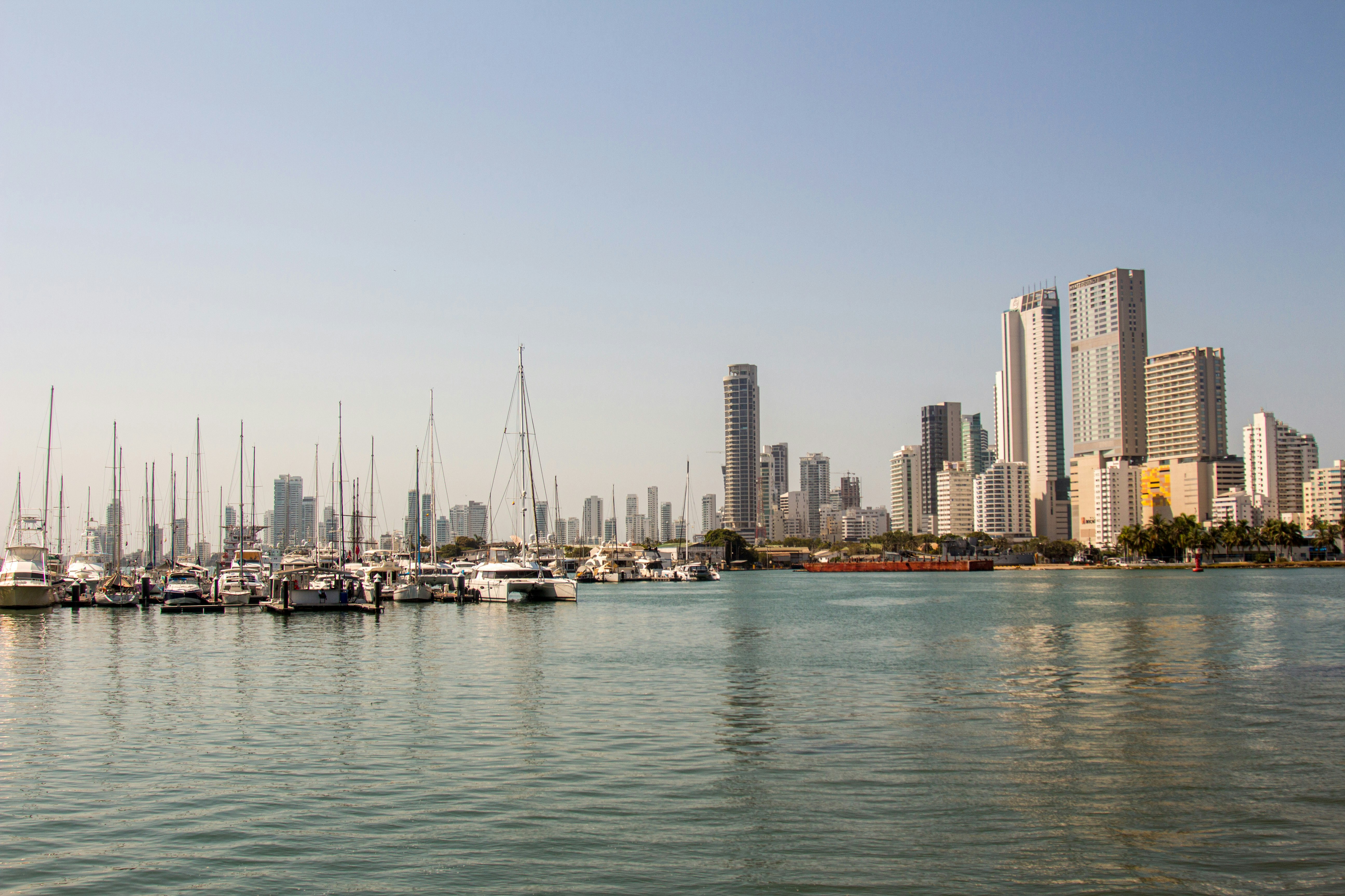 Marina filled with yachts against a backdrop of modern skyscrapers under a clear blue sky.