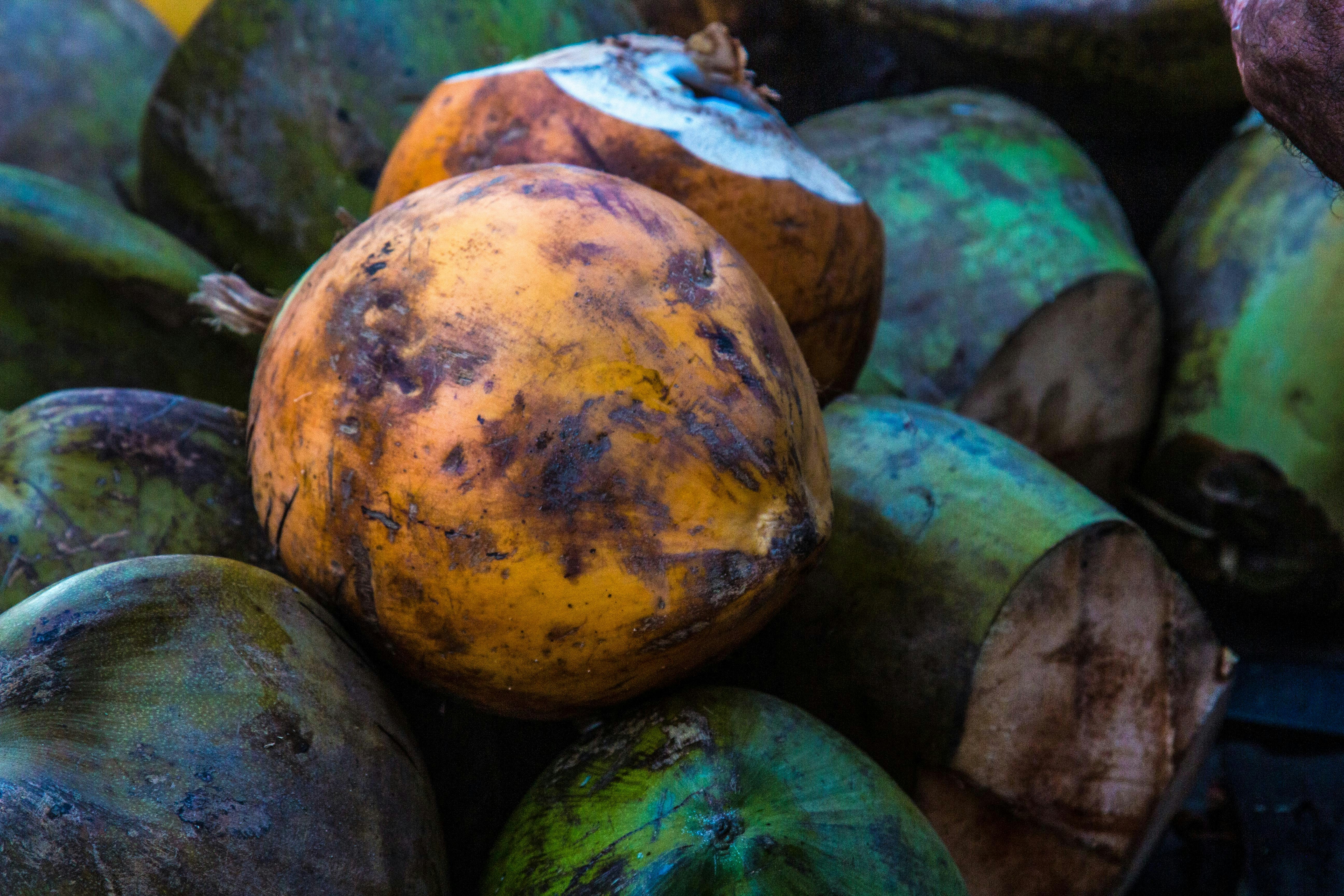 Color-Charged Coconut Stack in Blue Light
