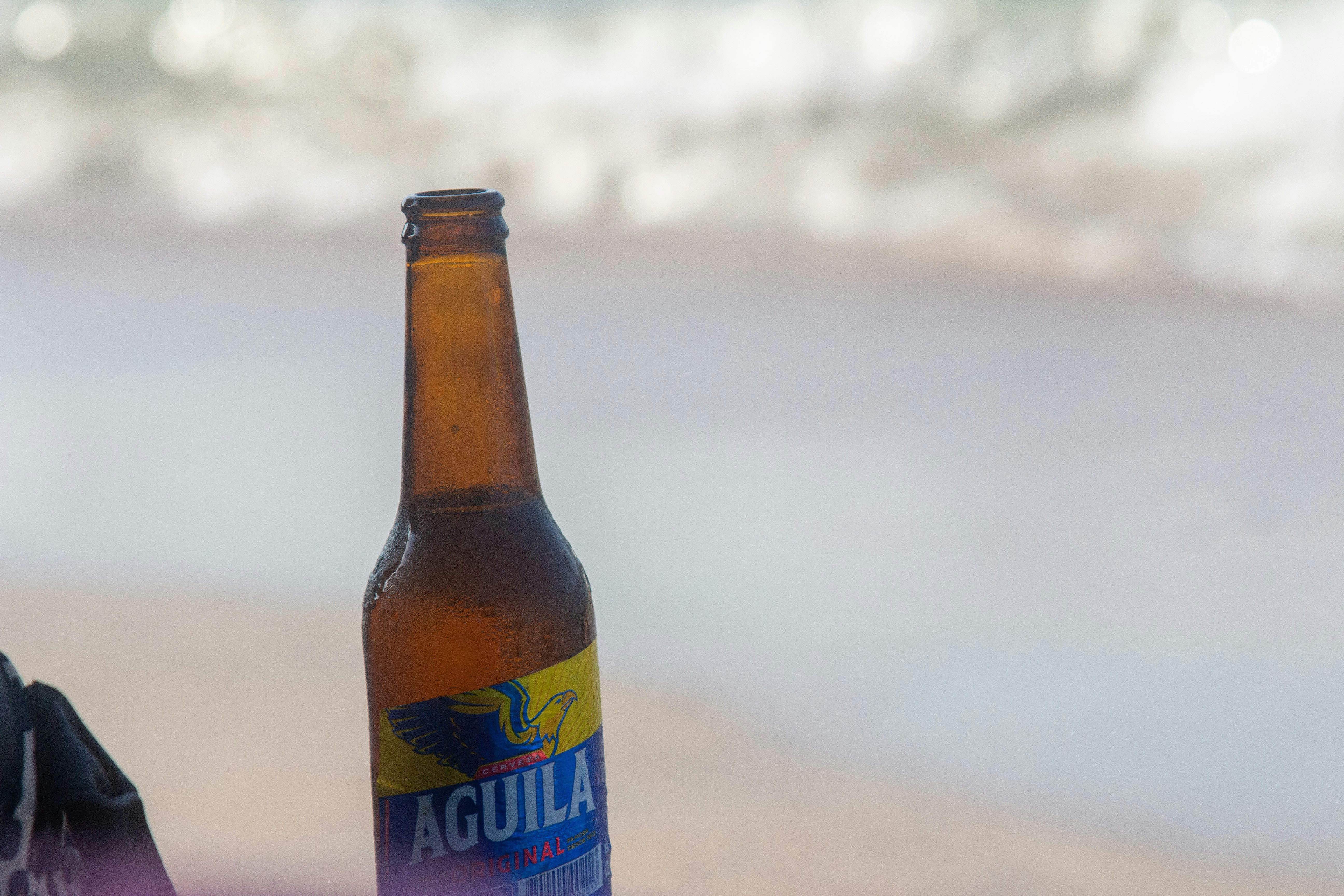 Amber Bottle on the Quiet Shoreline: A Beach Moment