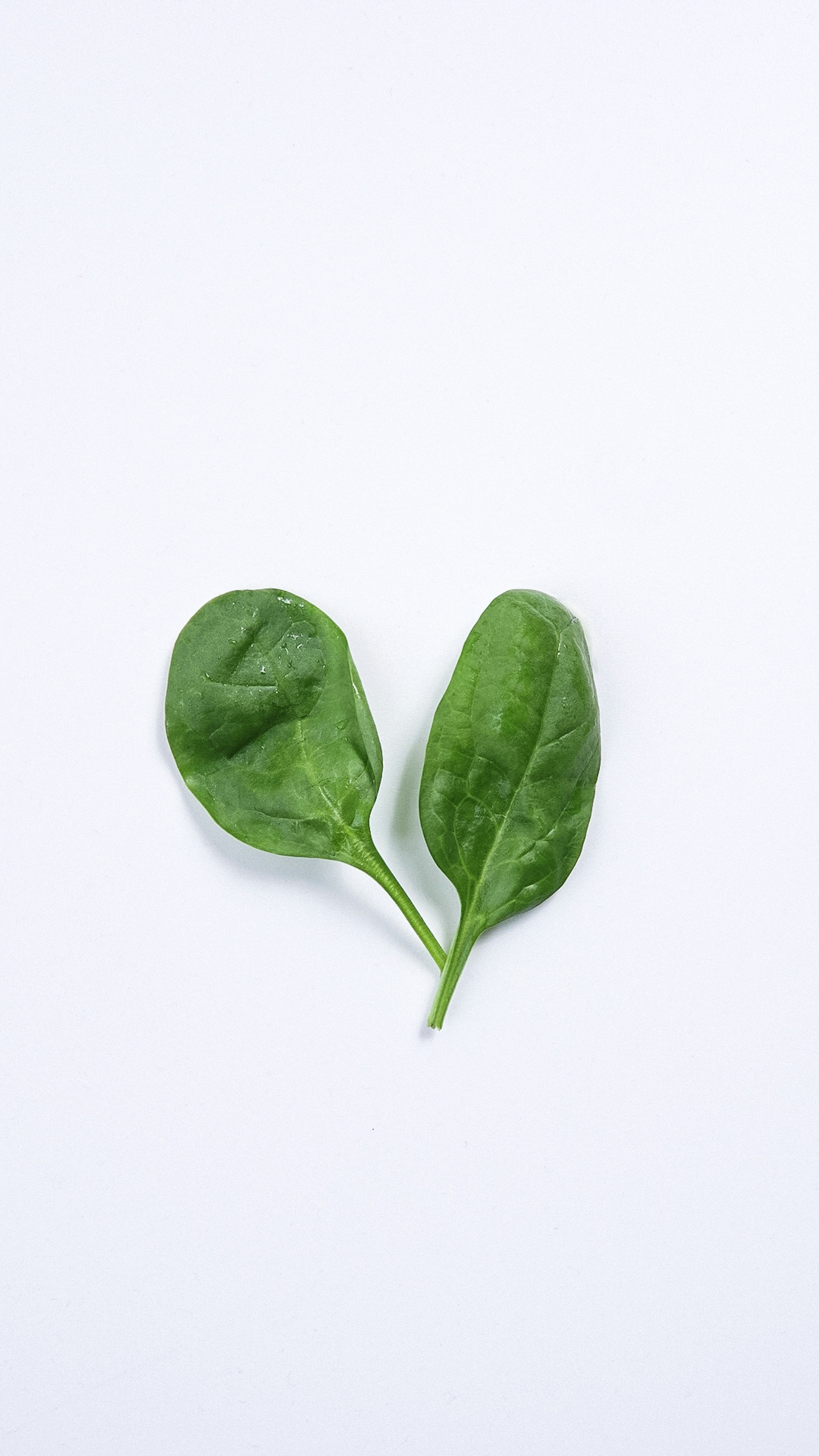 Spinach Pictures [4K] | Download Free Images on Unsplash