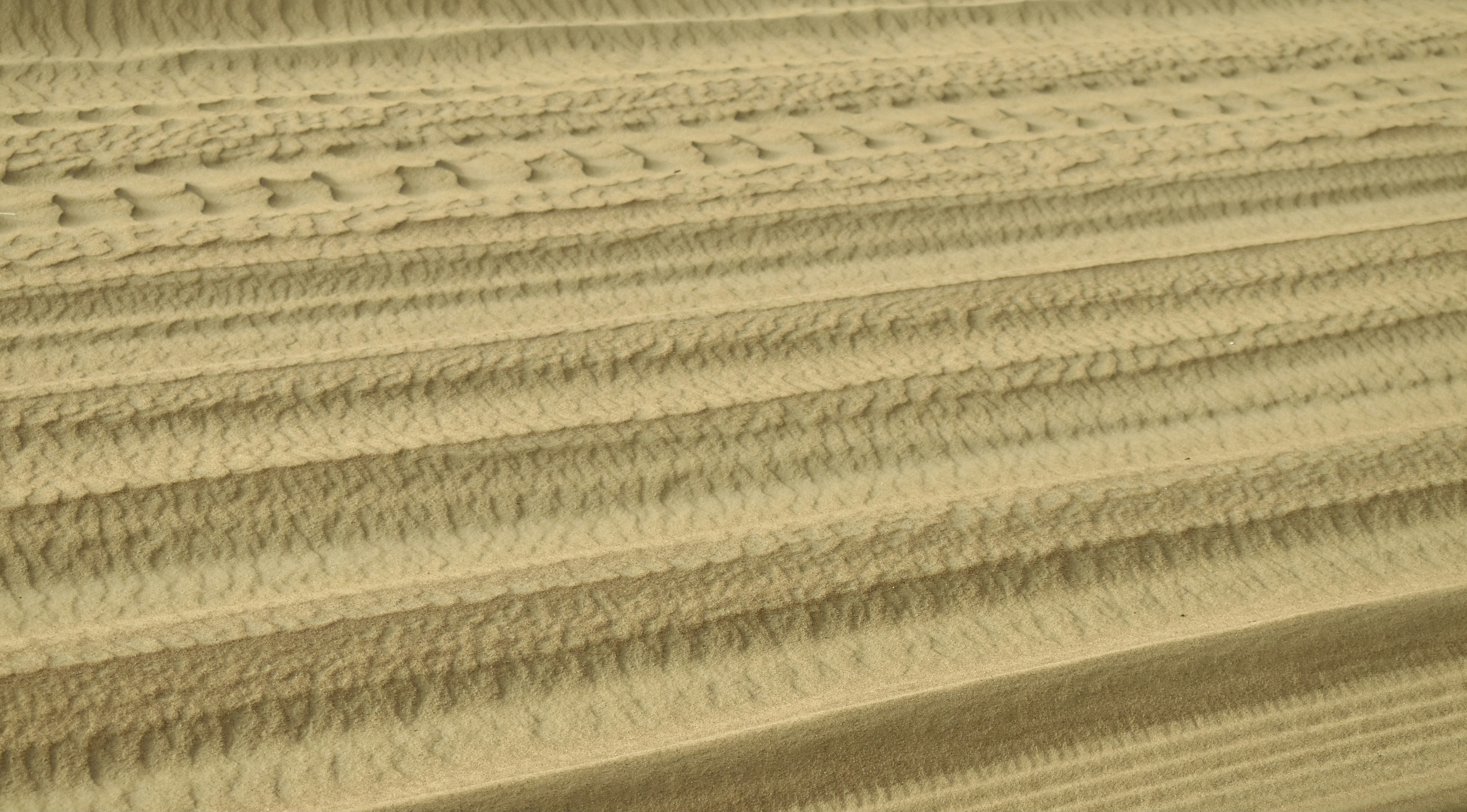 A close-up of a stone wall photo – Free Dubai - united arab emirates ...