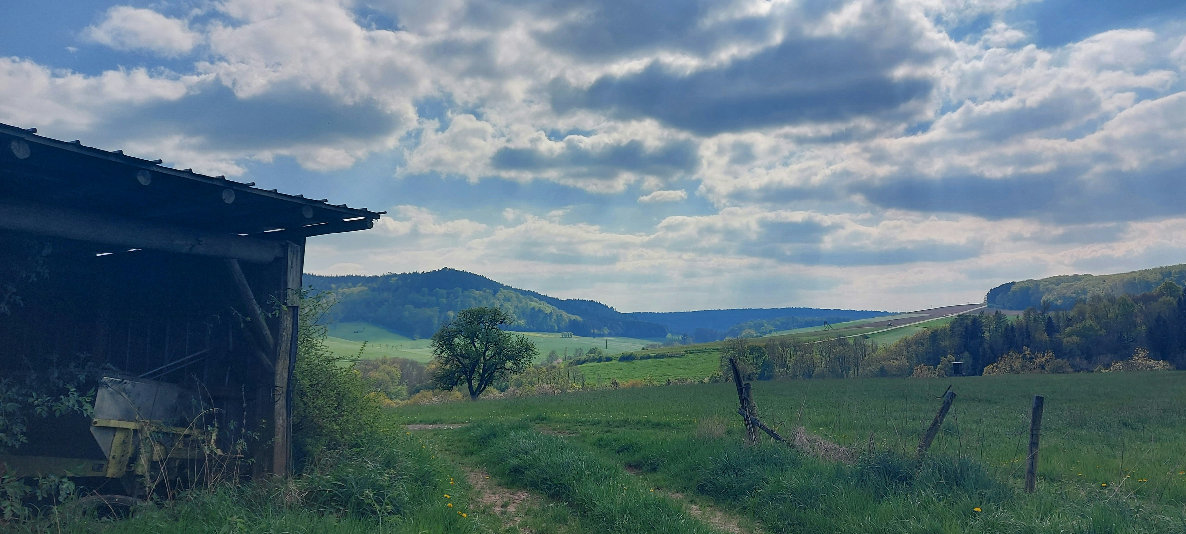 Old shack in beautiful landscape | a grassy field with a fence and trees in the background