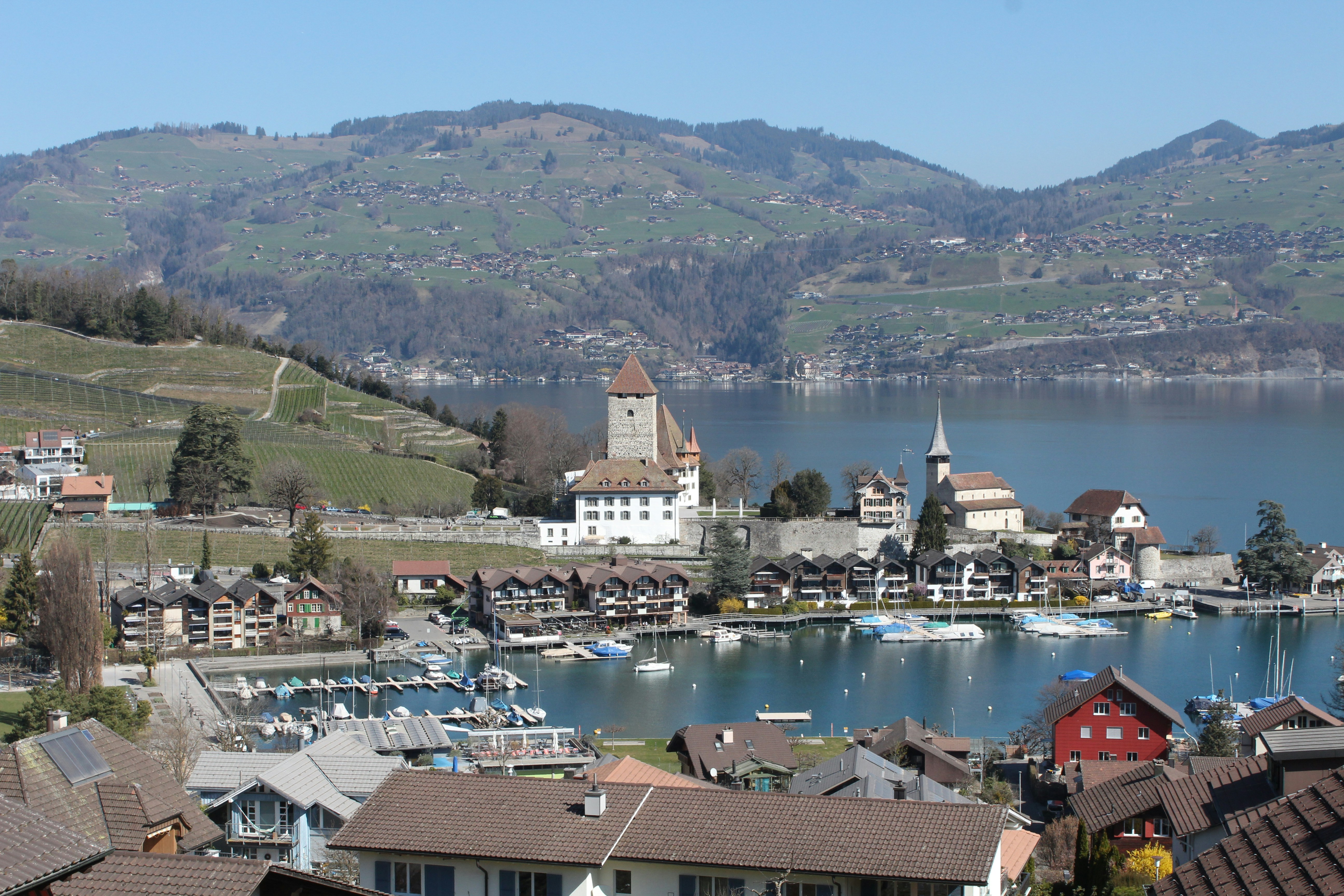 Bell Tower by the Lake: A Quiet Alpine Harbor Framed by Verdant Terraces