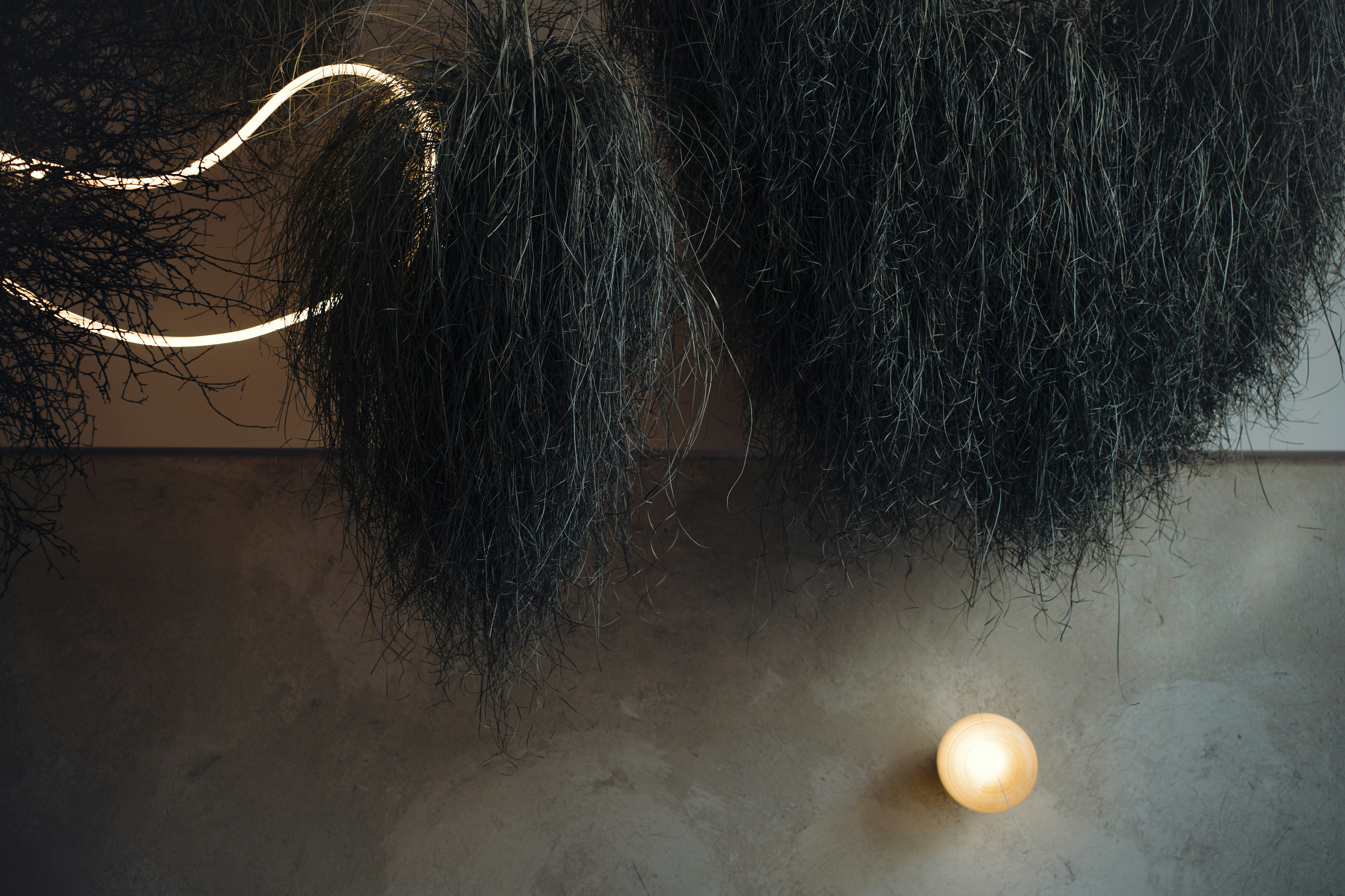Hanging on the Edge: A Looming Hairline and a Soft Light Orb