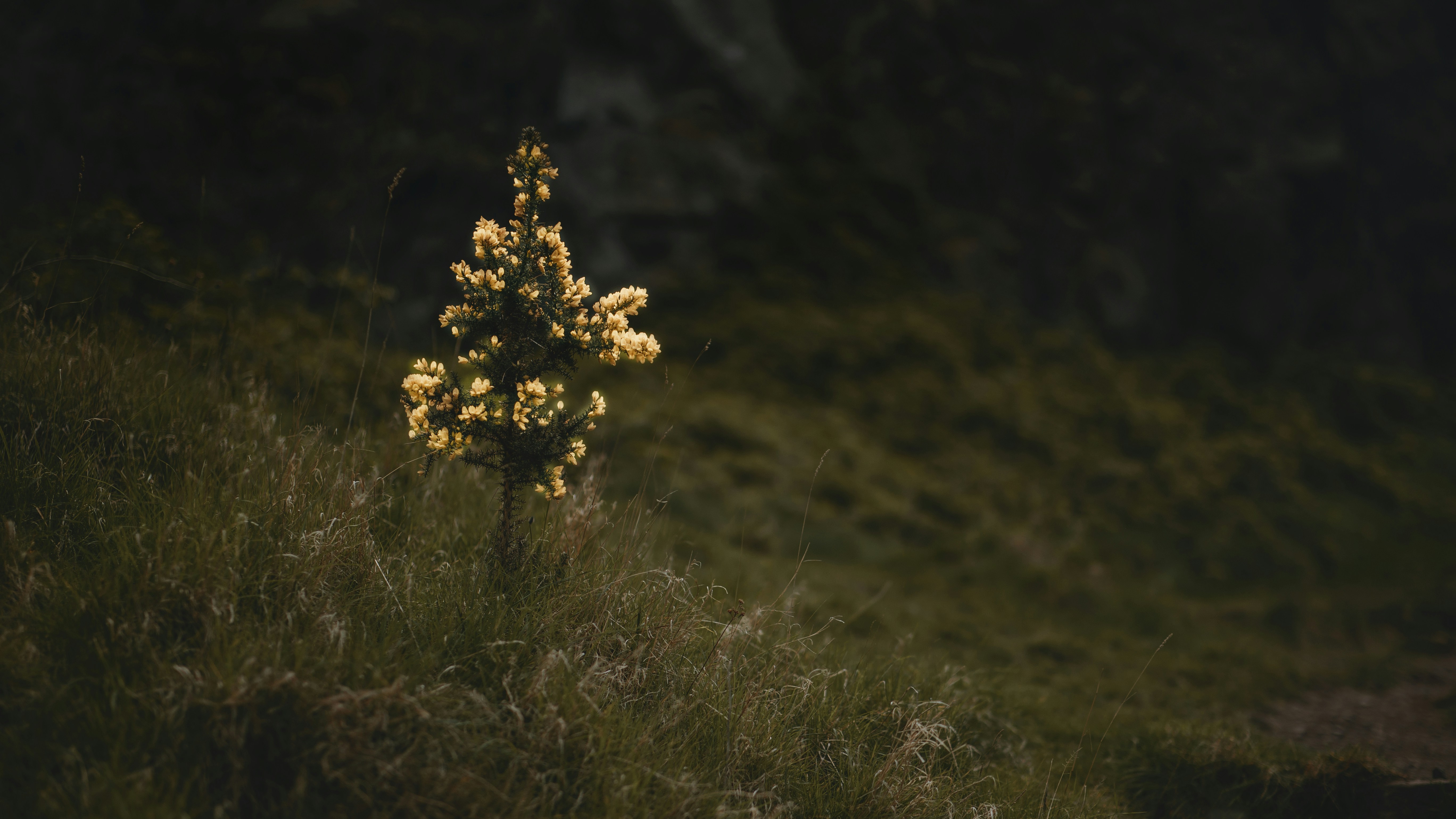 Photo by chris panas with Canon EOS R6