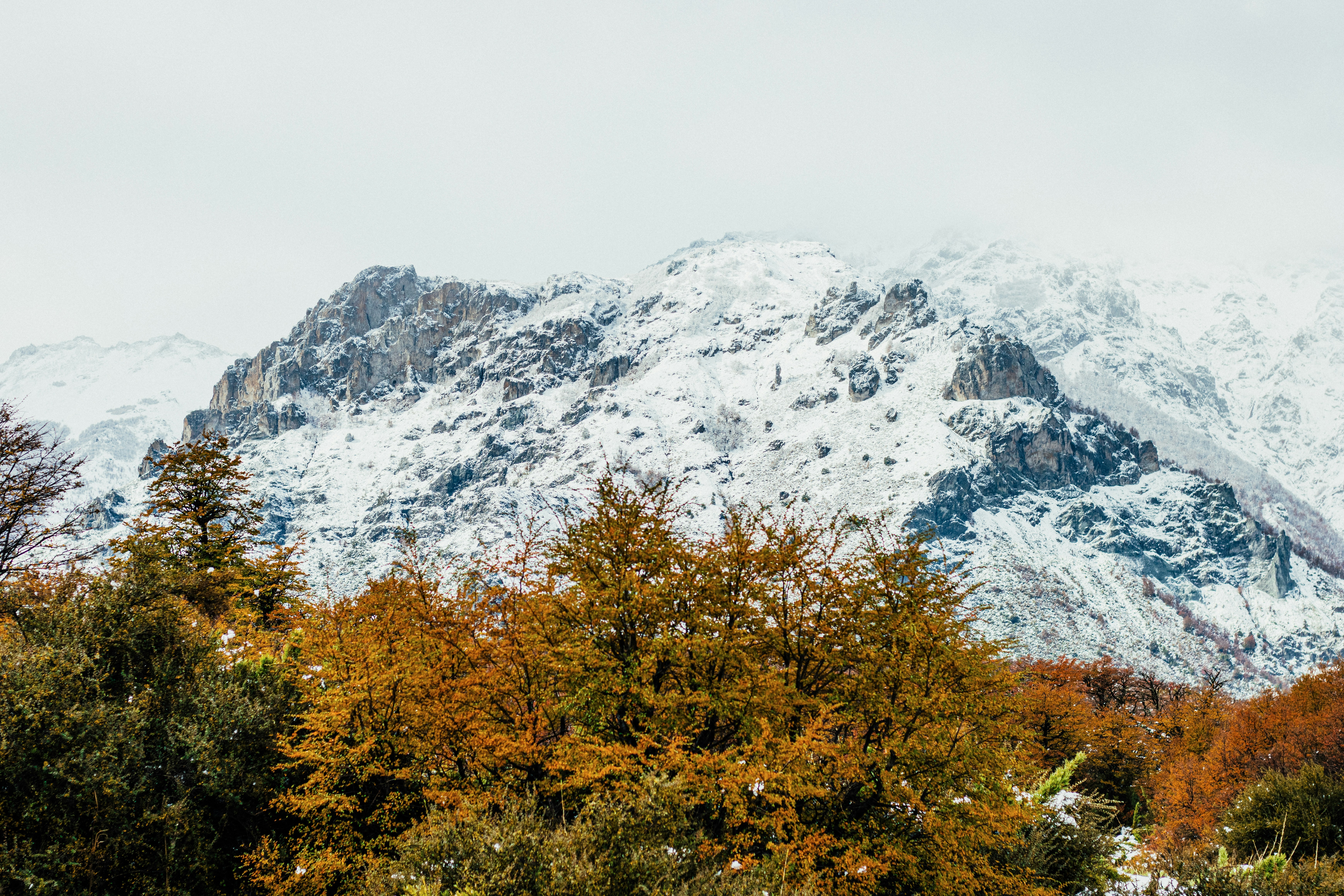 Snow-Kissed Peaks Over a Vivid Autumn Forest