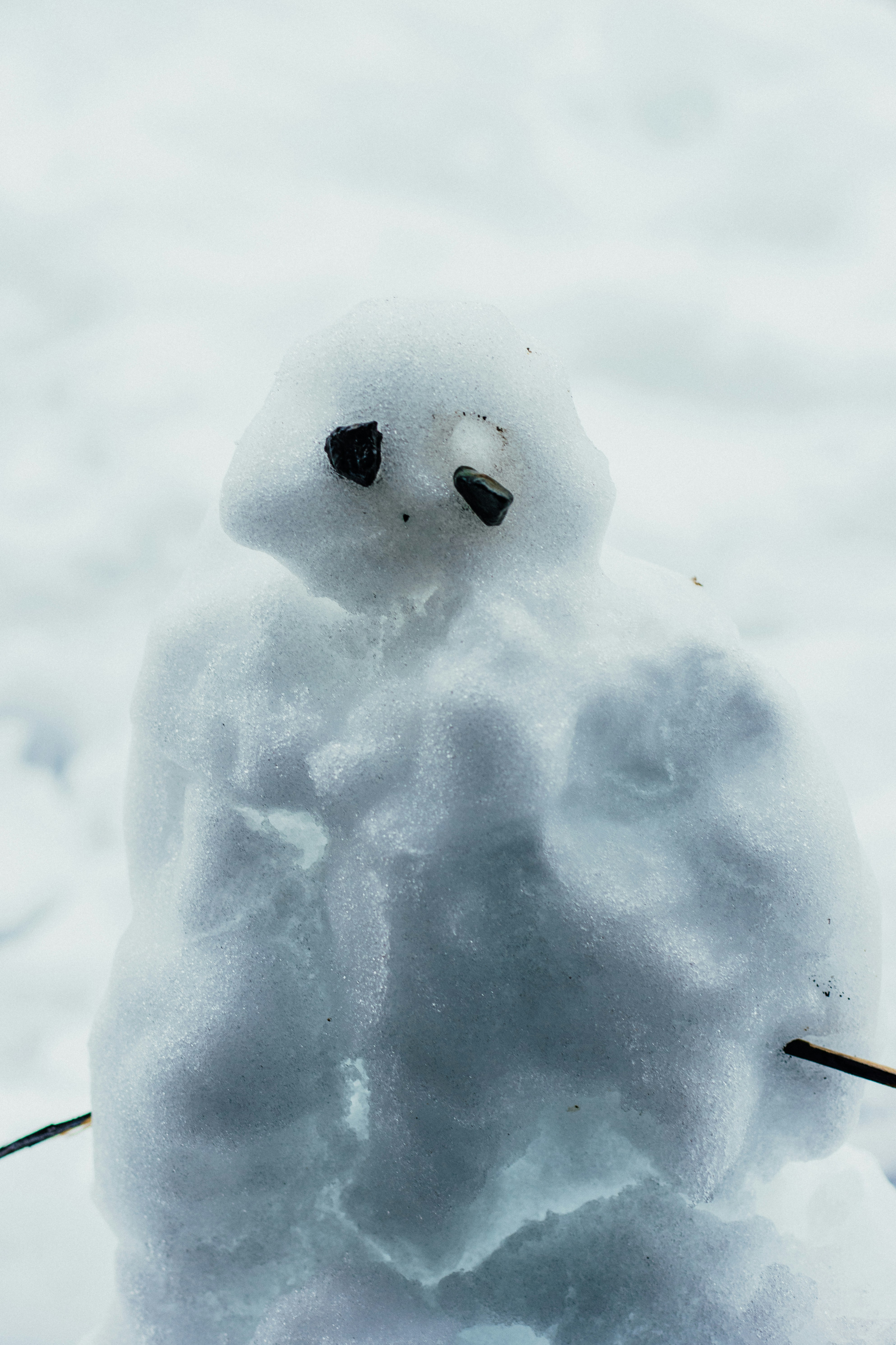 Coal-Eyed Snowman Stands in a Quiet Winter Field
