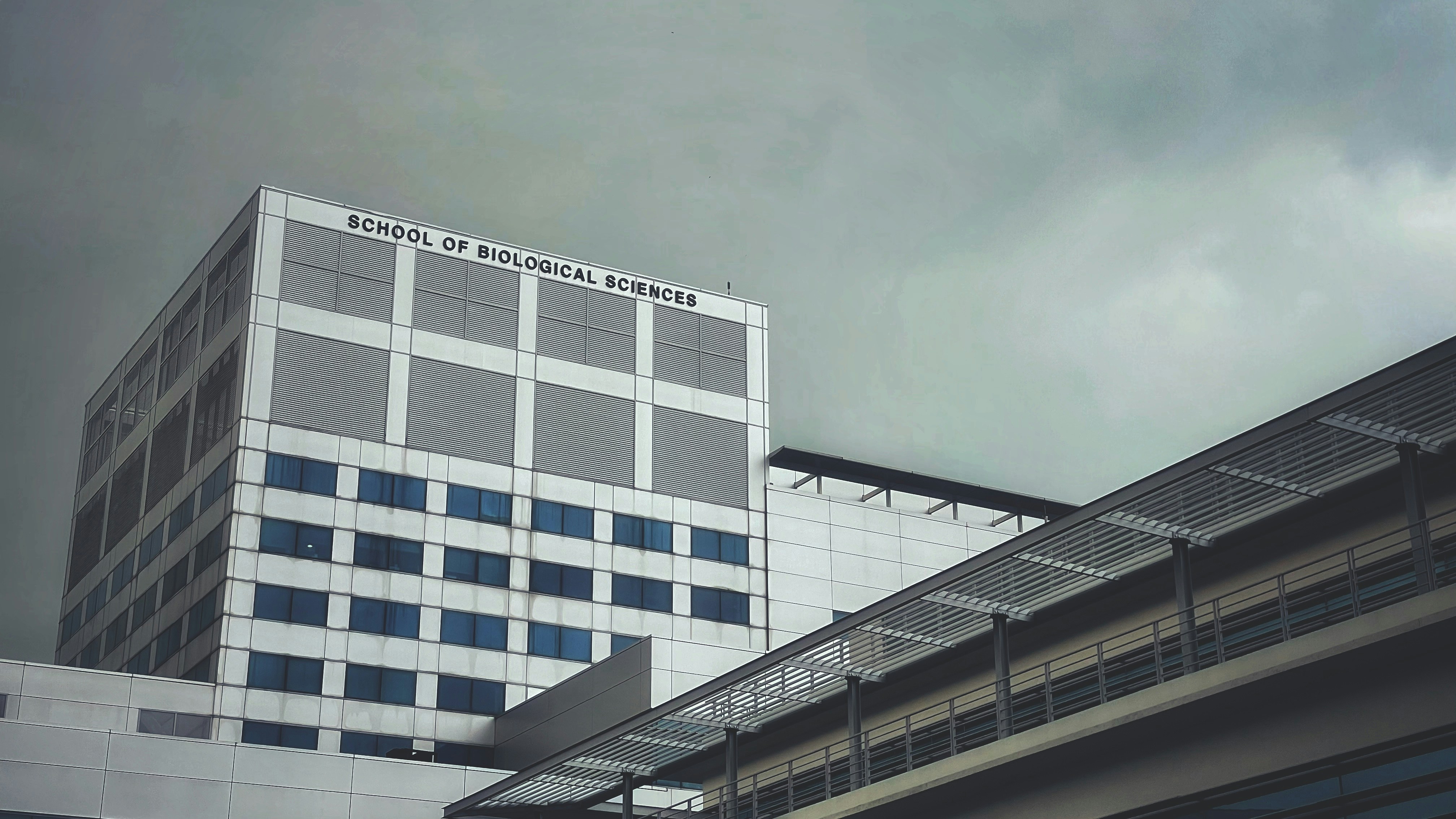 Modern building facade with geometric patterns against overcast clouds.