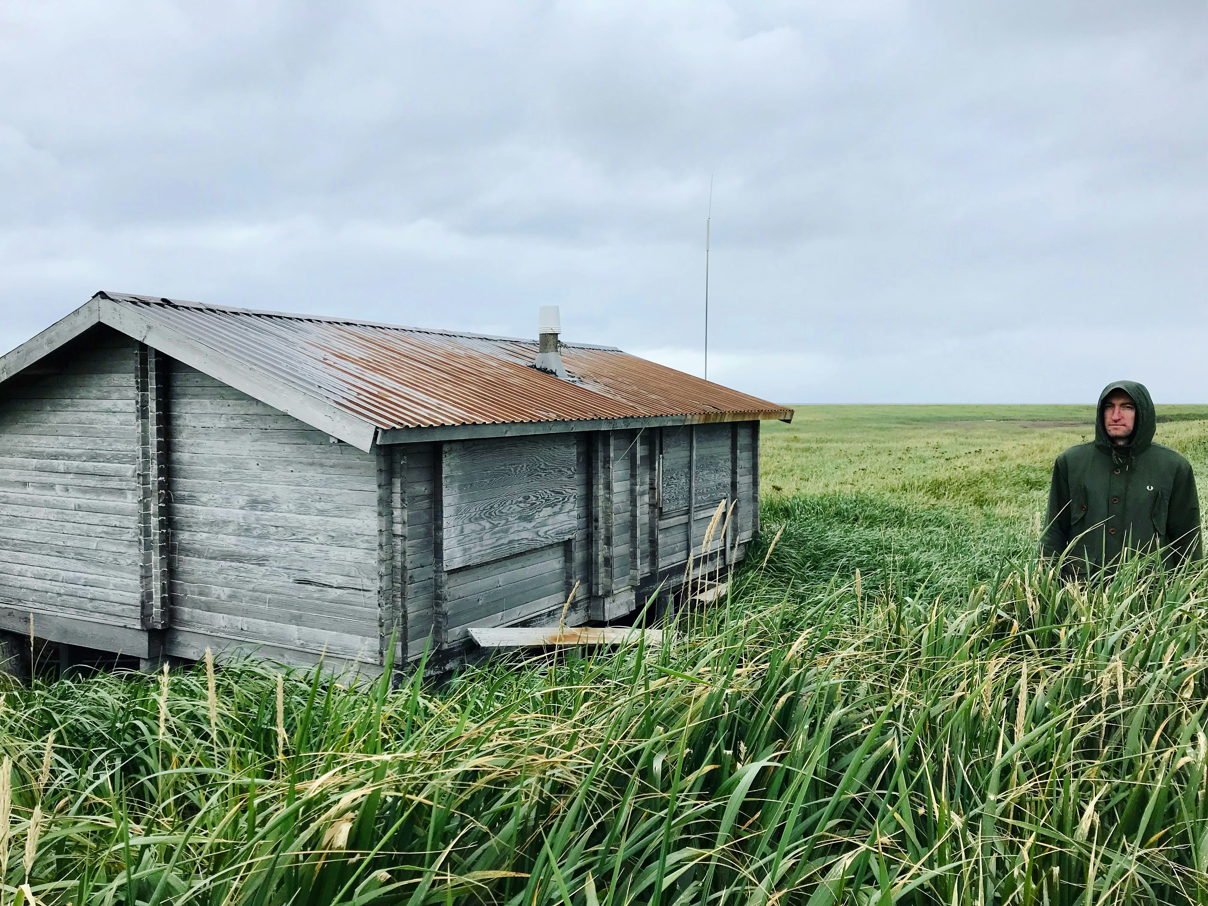 A person standing in a field of tall grass next to a wooden shack photo ...