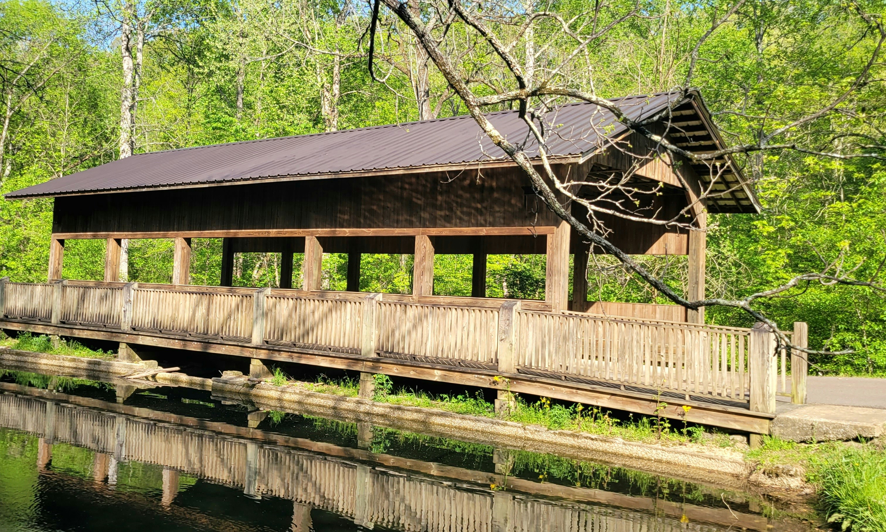 Wooden covered bridge reflecting in calm waters, surrounded by lush greenery.