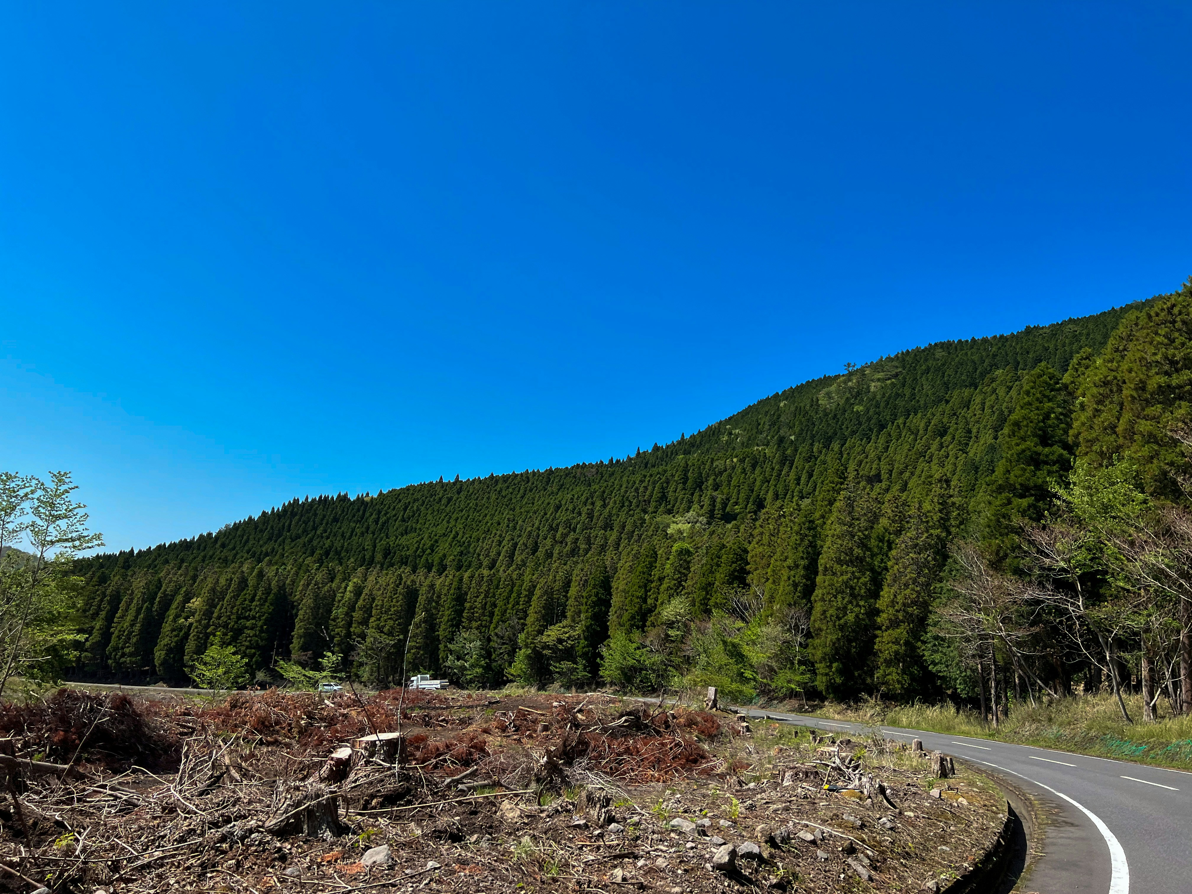 A road next to a hill with trees on it photo – Free Japan Image on Unsplash