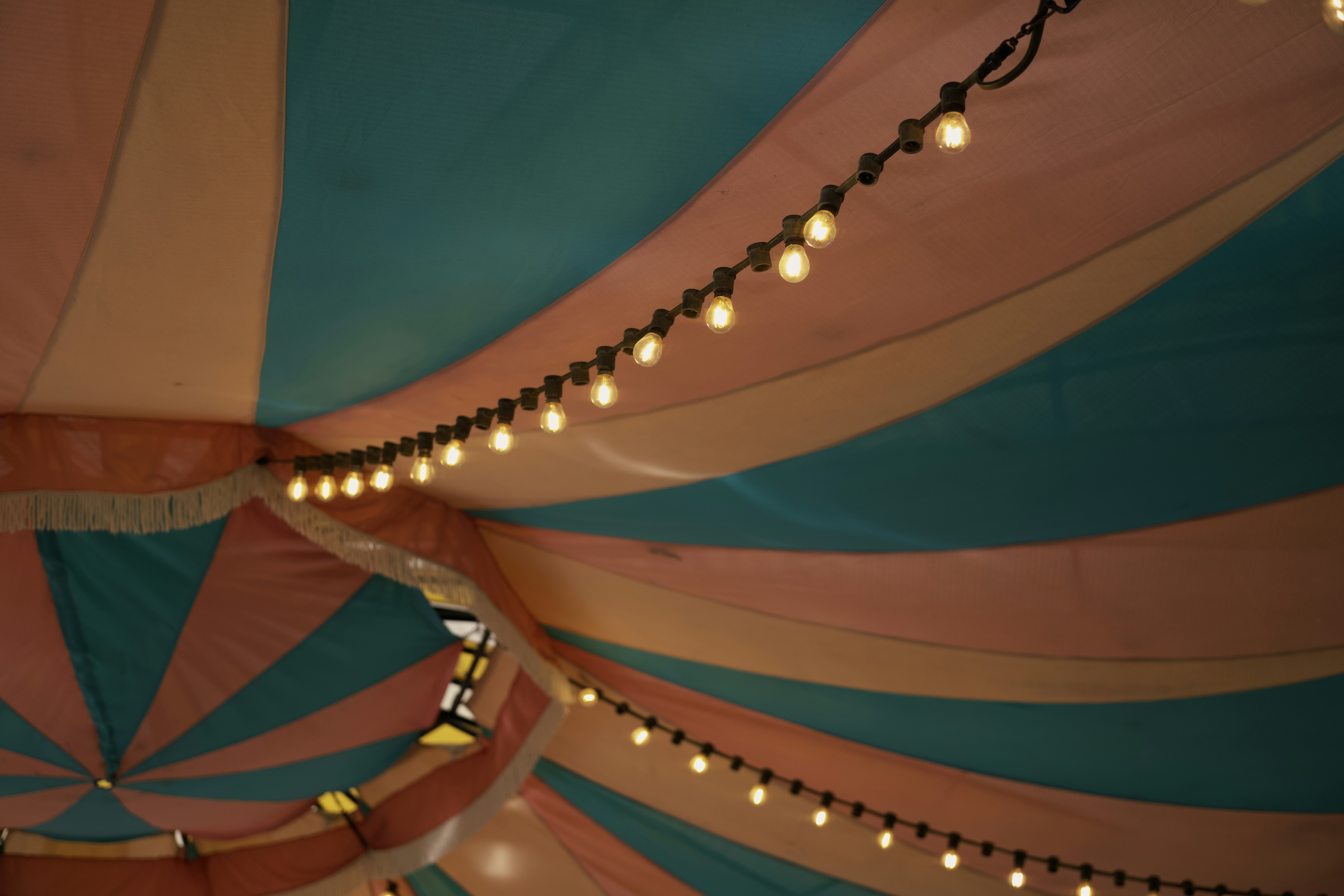 Under the Canopy of Light