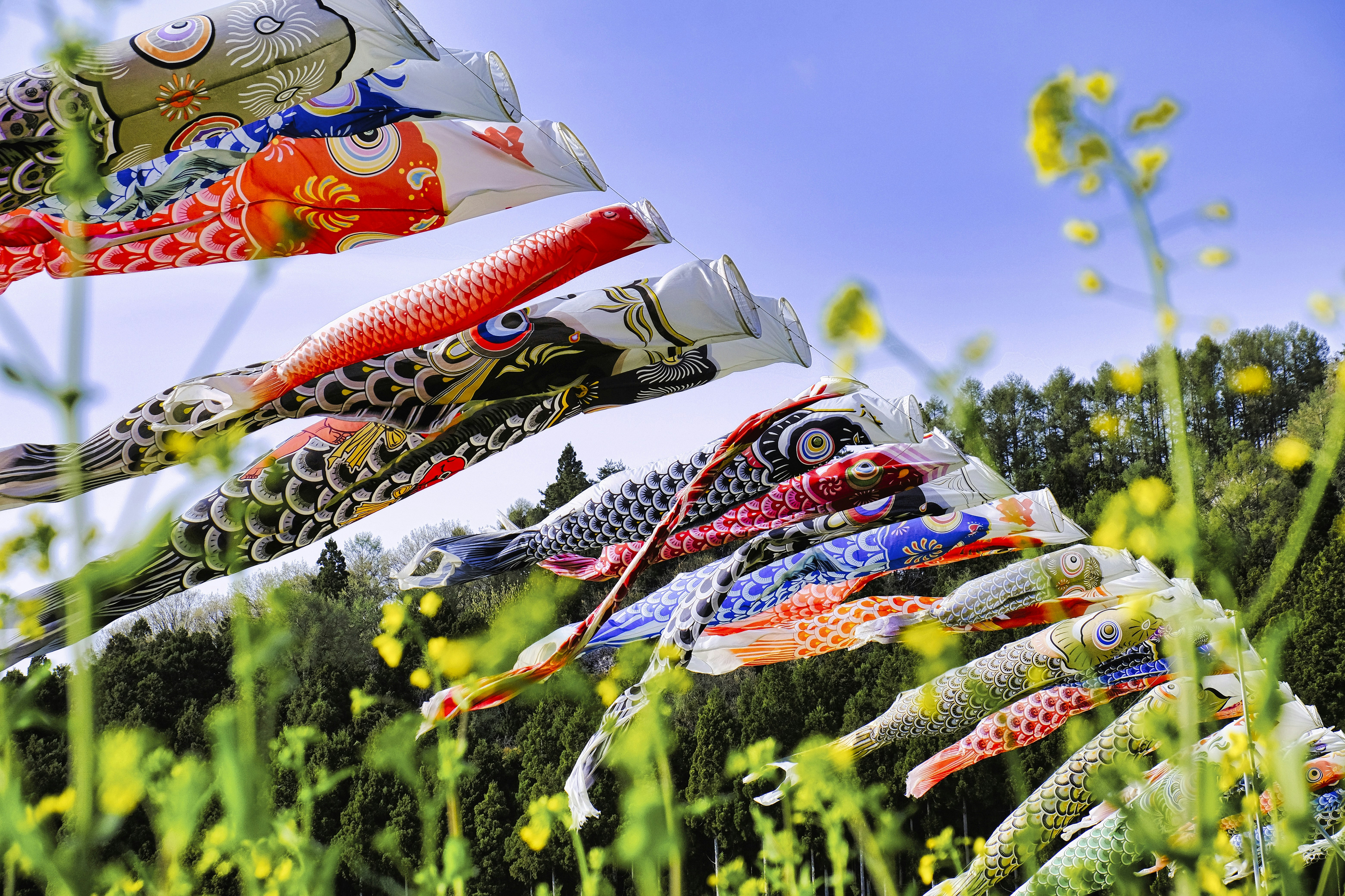 Kites and Tradition - by Leon - Hidden Japan