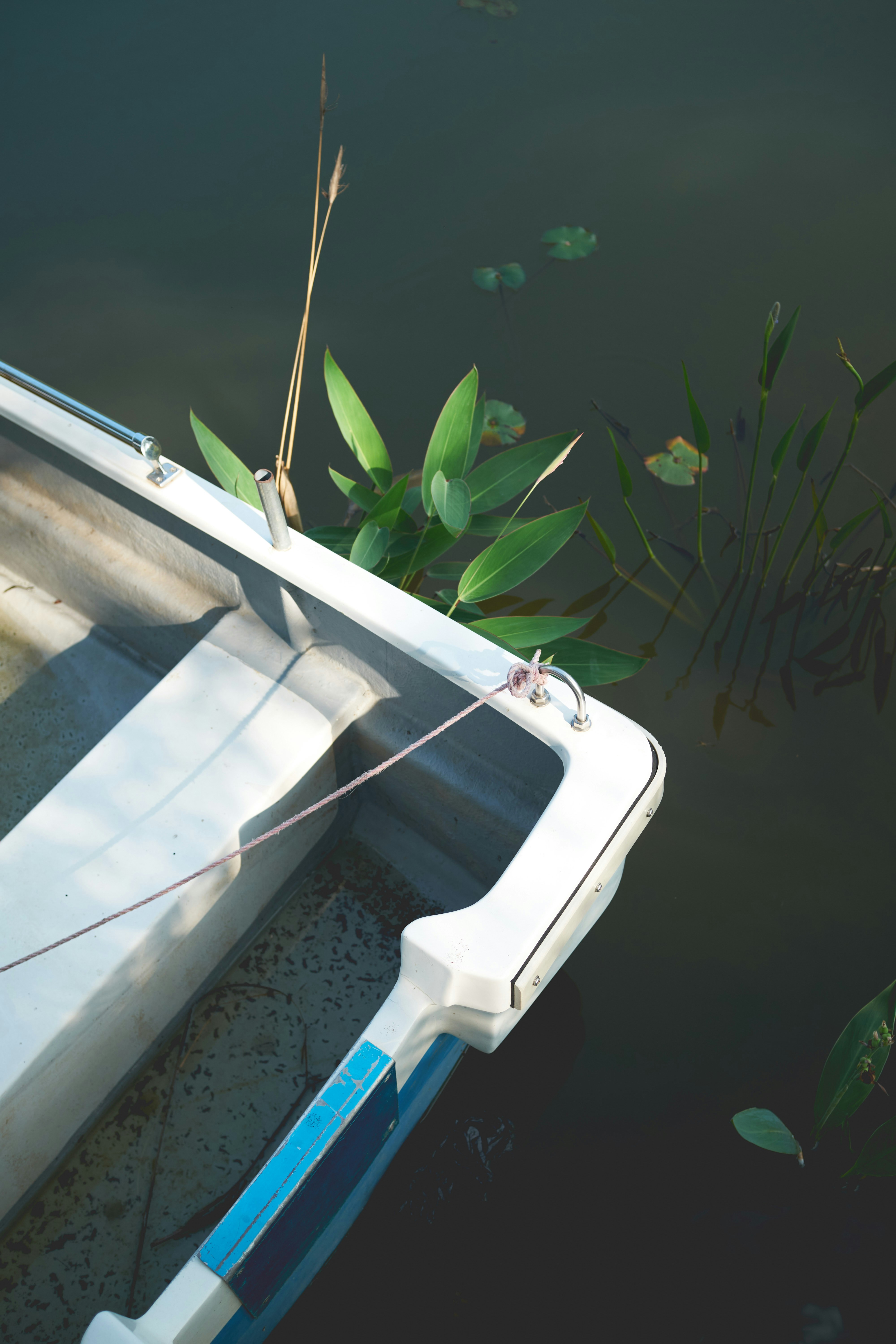 Rope, Edge, and Green: A Small Boat at the Waterfront Edge