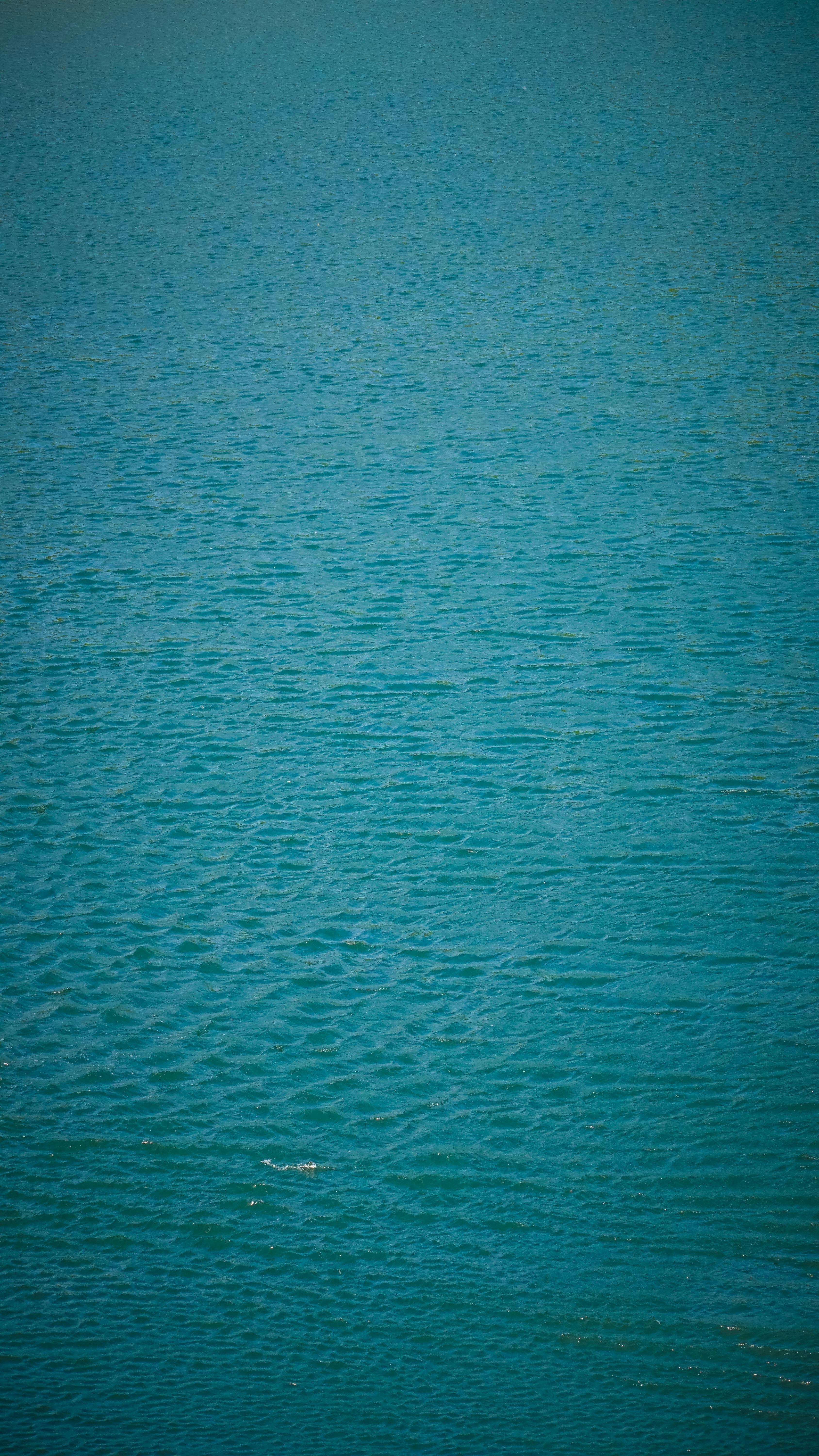 a body of water with a small boat in it
