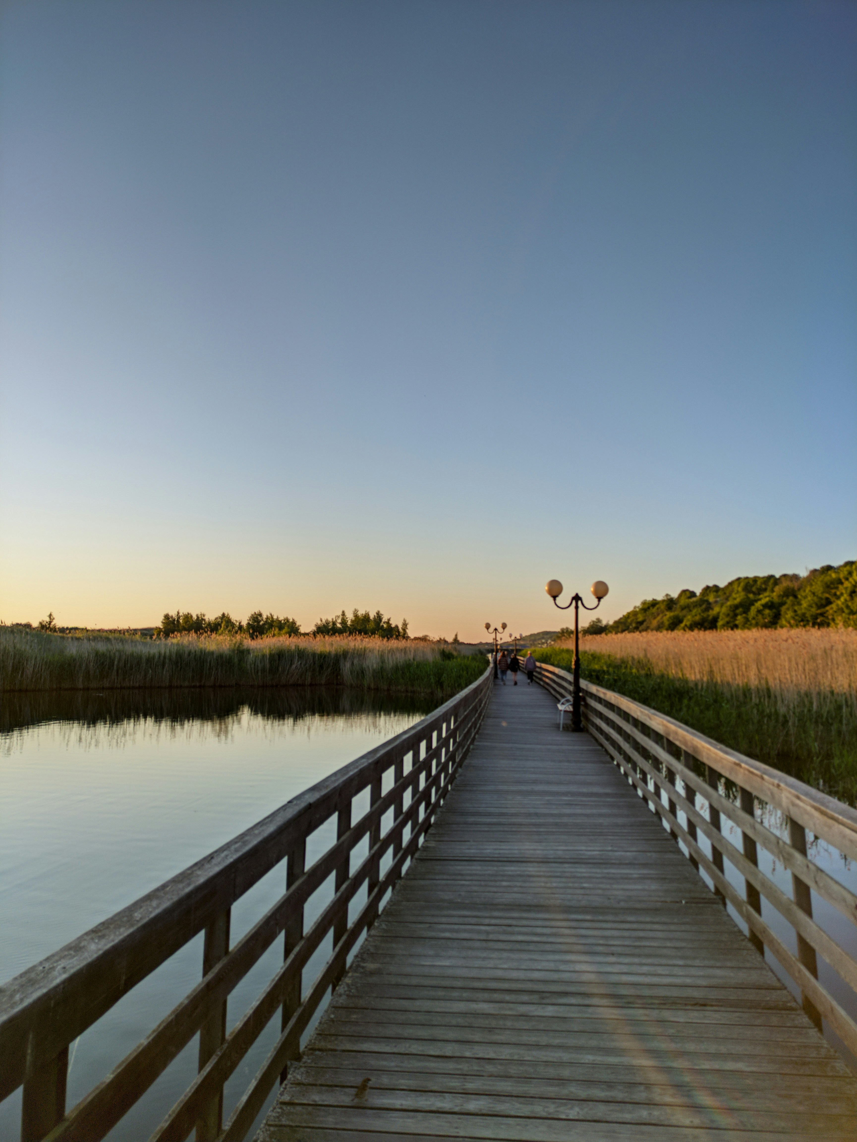 A wooden walkway over water photo – Free Yantarnyy Image on Unsplash
