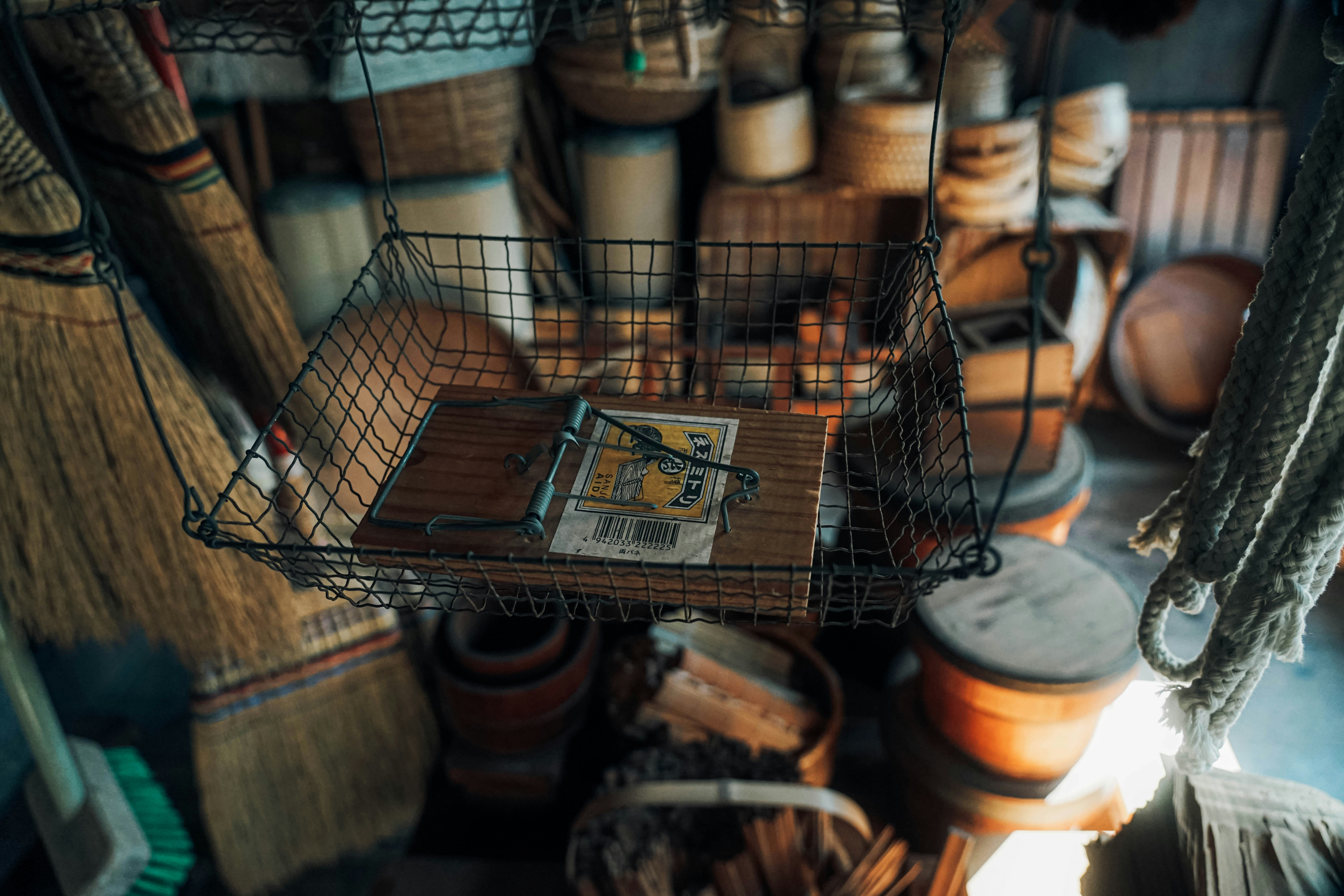 Un groupe d’objets sur une table photo – Photo Étagère Gratuite sur ...