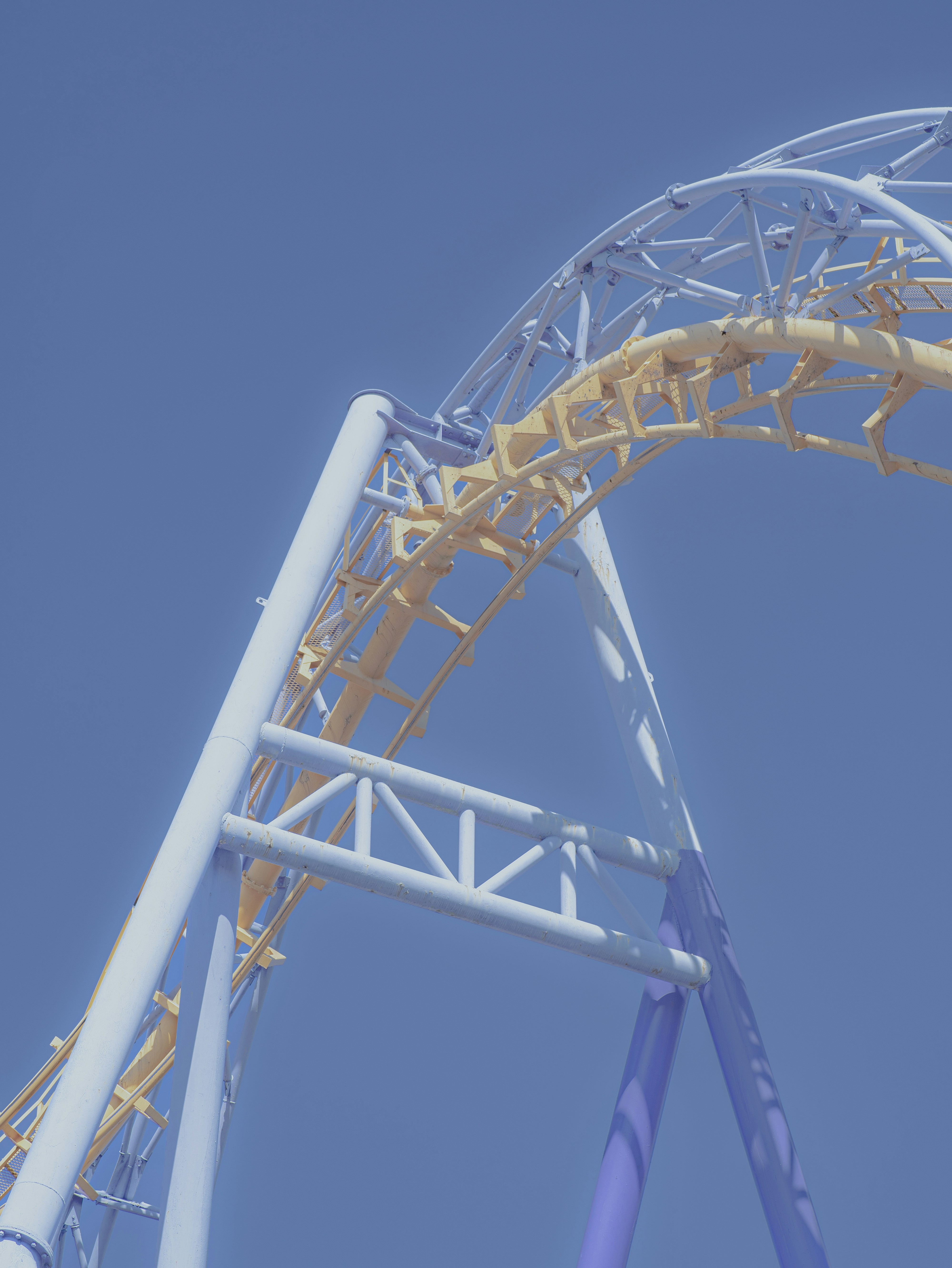 Curves of Adventure: The Roller Coaster's Ascent