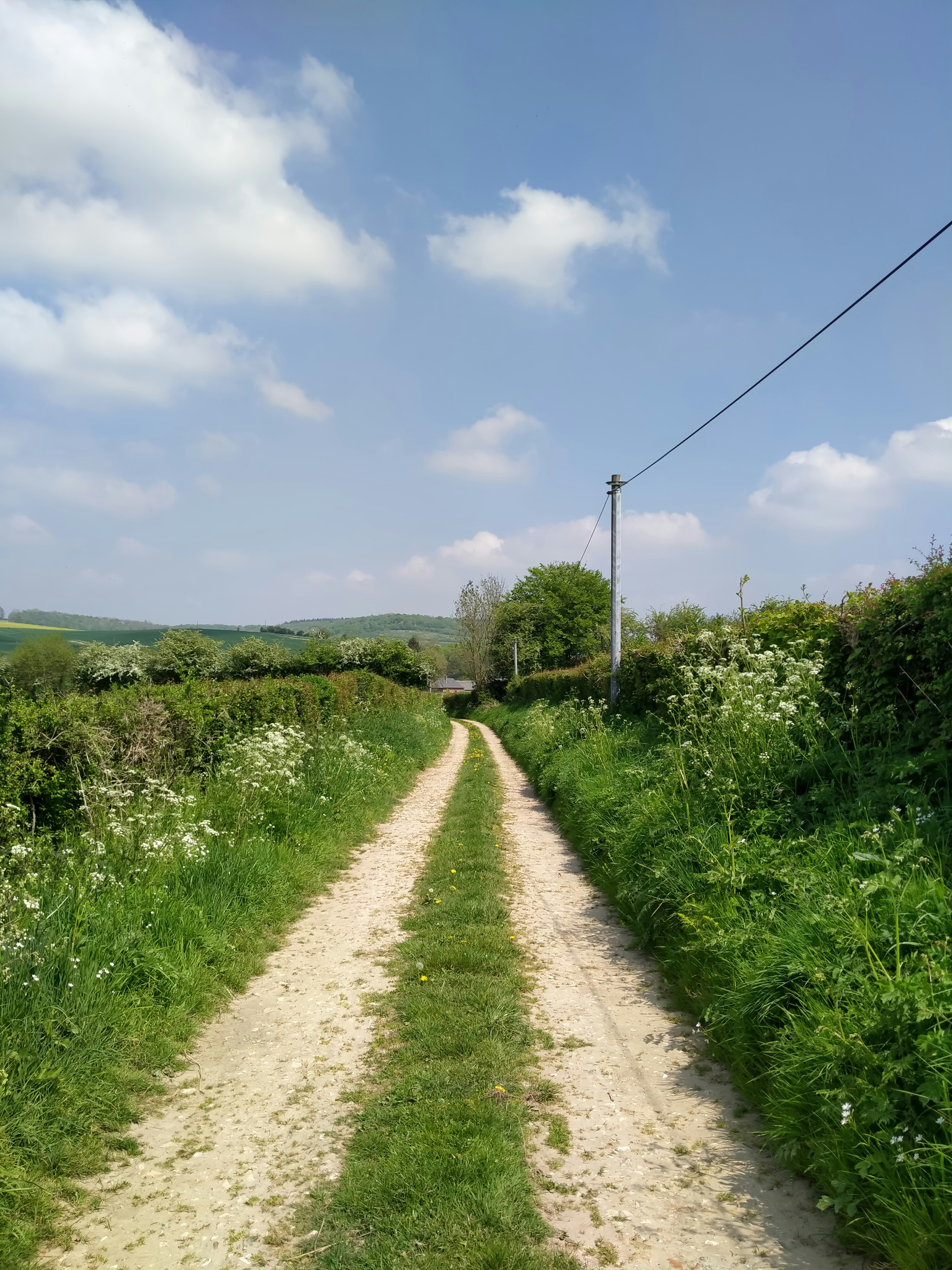 A tranquil country lane bordered by lush greenery and wildflowers, leading towards distant hills under a blue sky with fluffy clouds.
