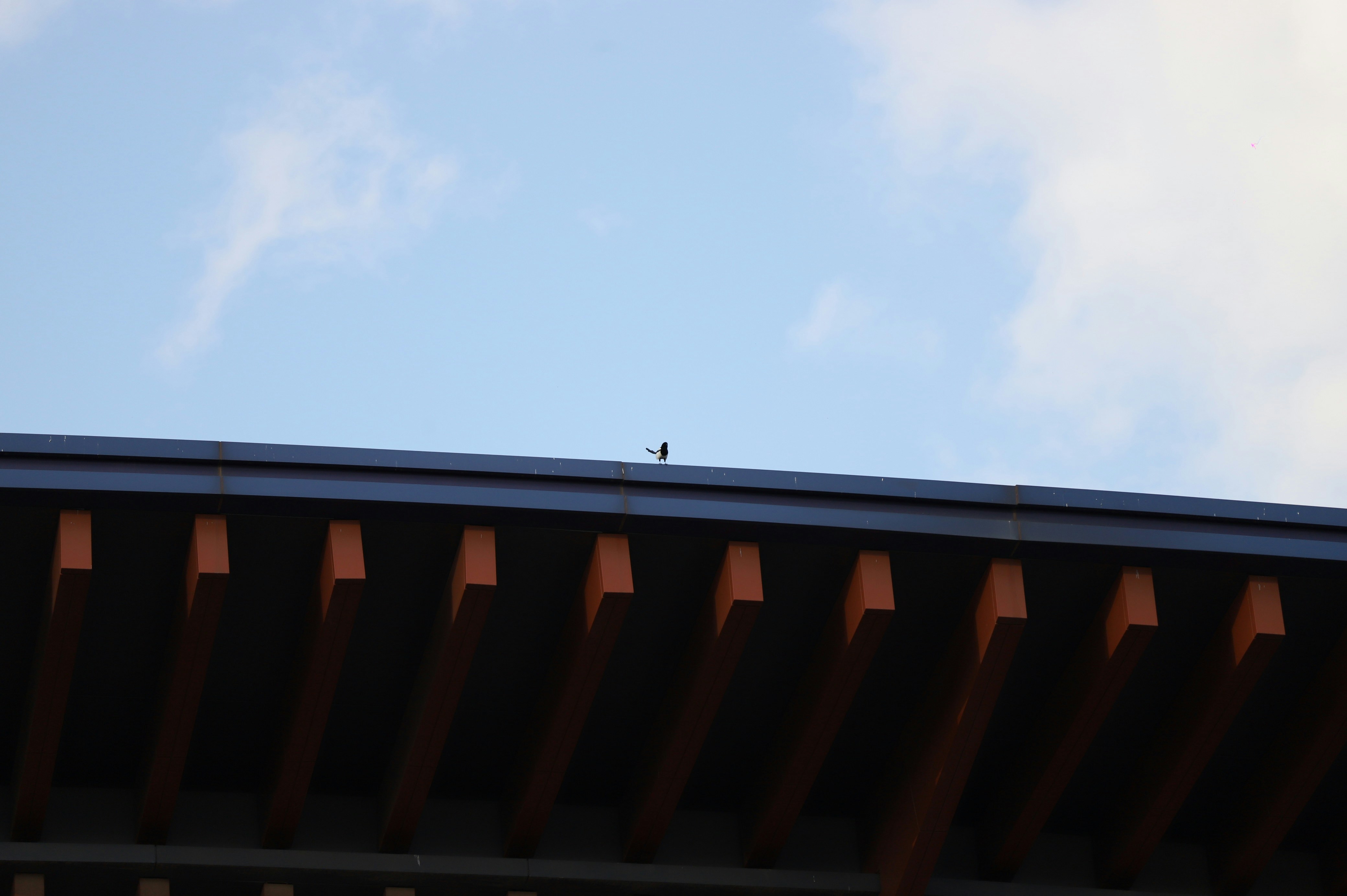A lone bird perched on the edge of a modern architectural structure against a blue sky. The interplay of lines and colors creates a striking visual contrast.