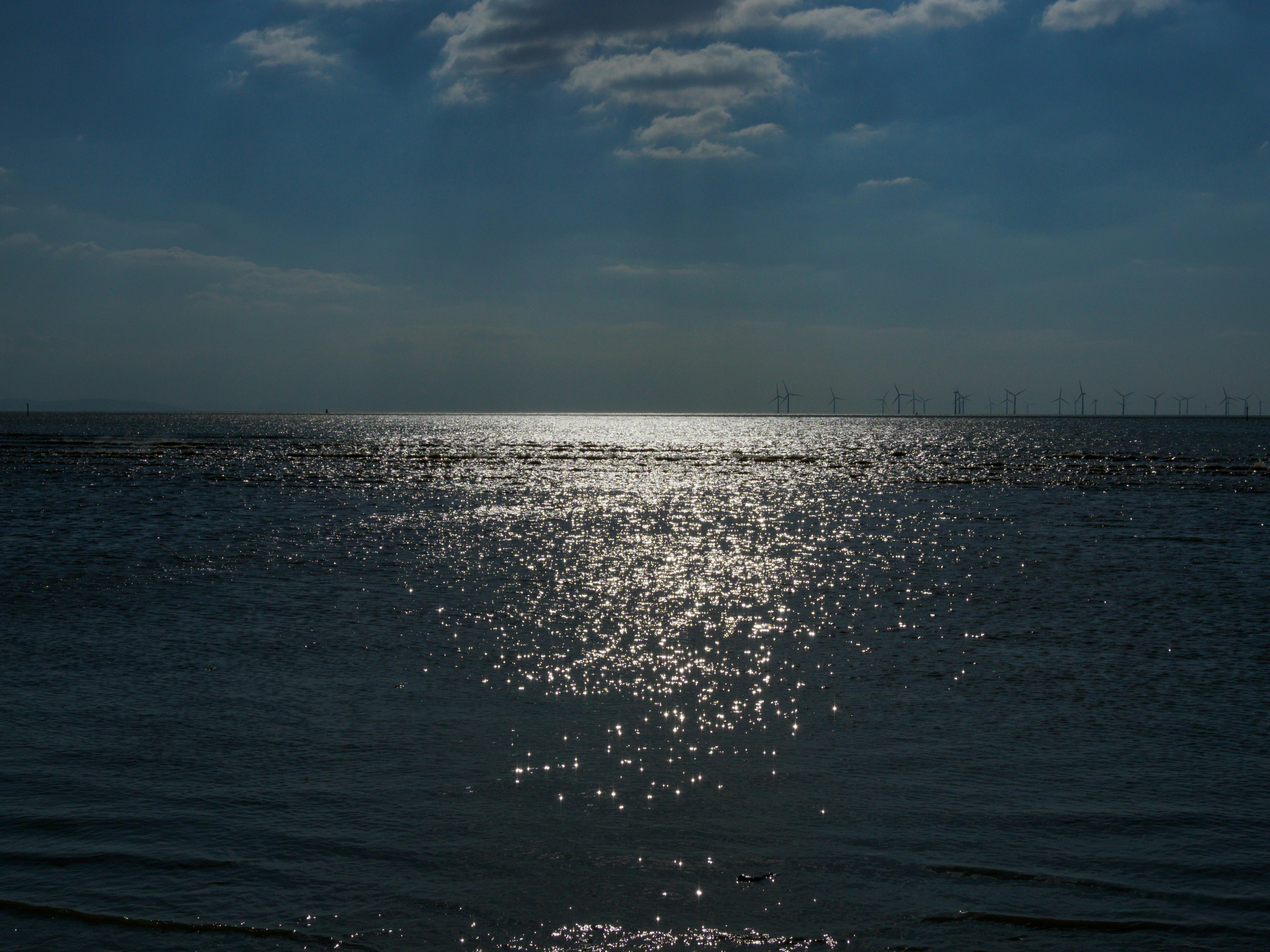 Photo by Brett Jordan with Olympus OM-D E-M1 Mark II